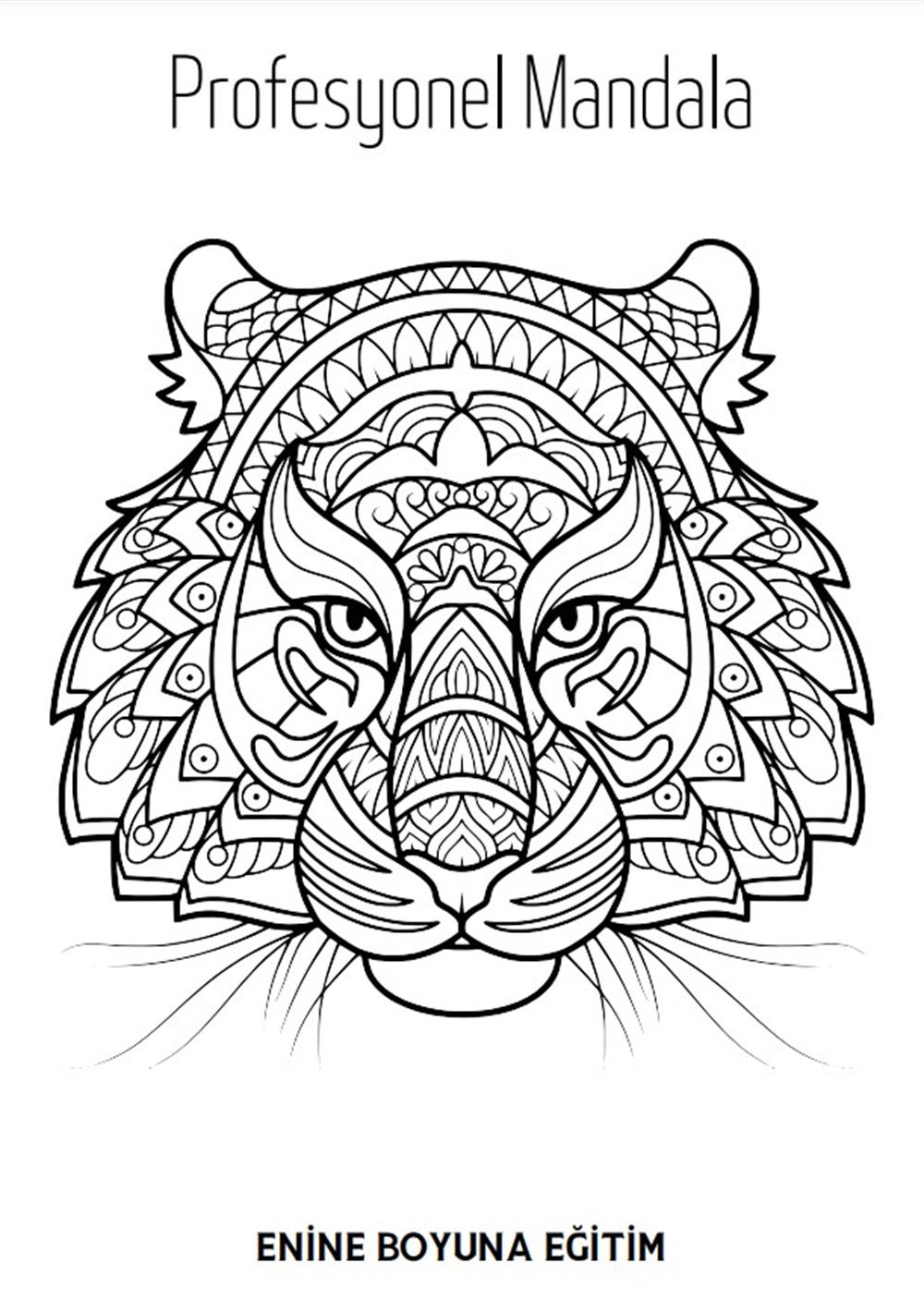 Süper MANDALA Kitap Seti (3 Kitap)