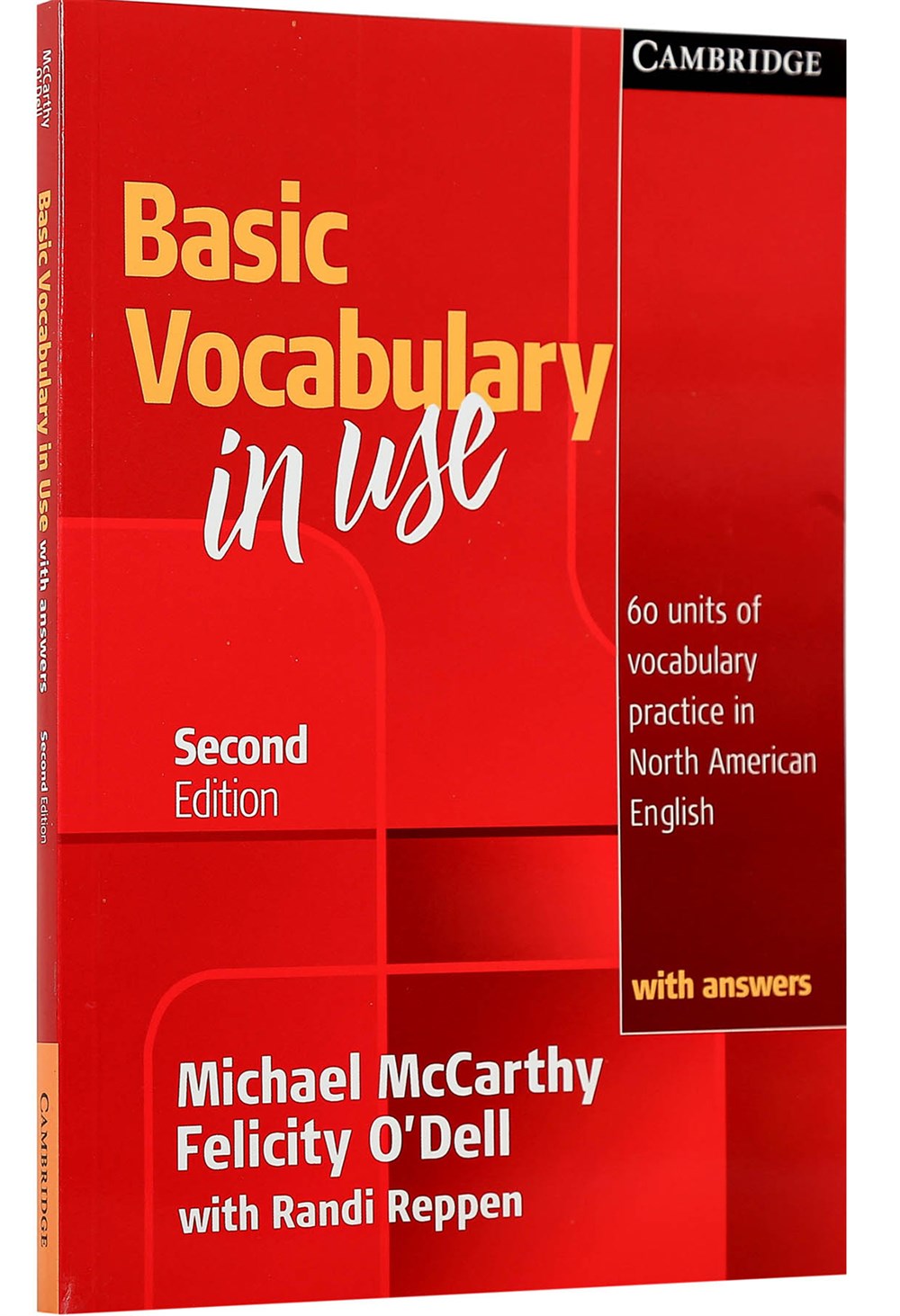 Basic Vocabulary in Use with Answers