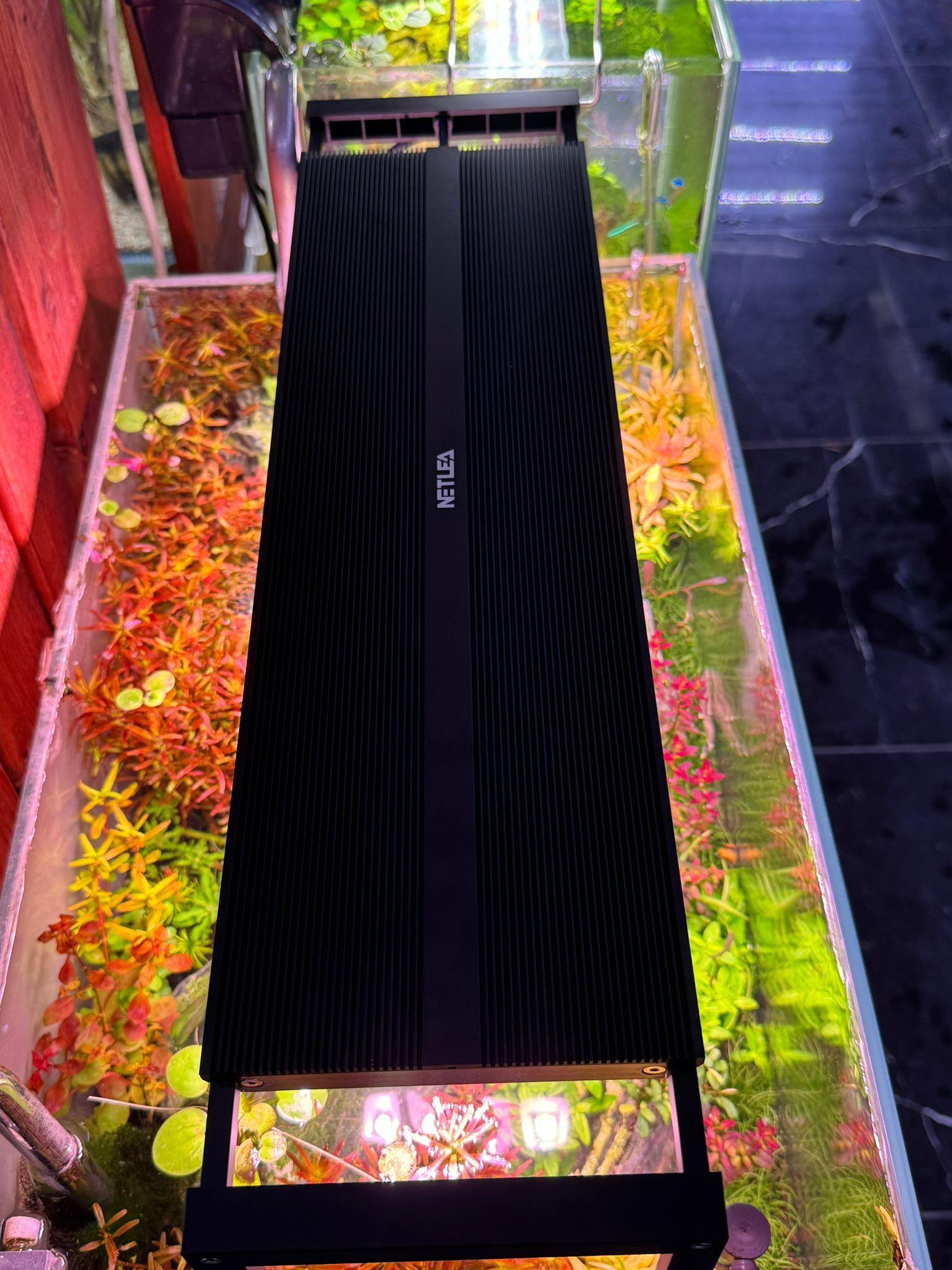 Netlea Full Spektrum WRGB Akvaryum Aydınlatmaları