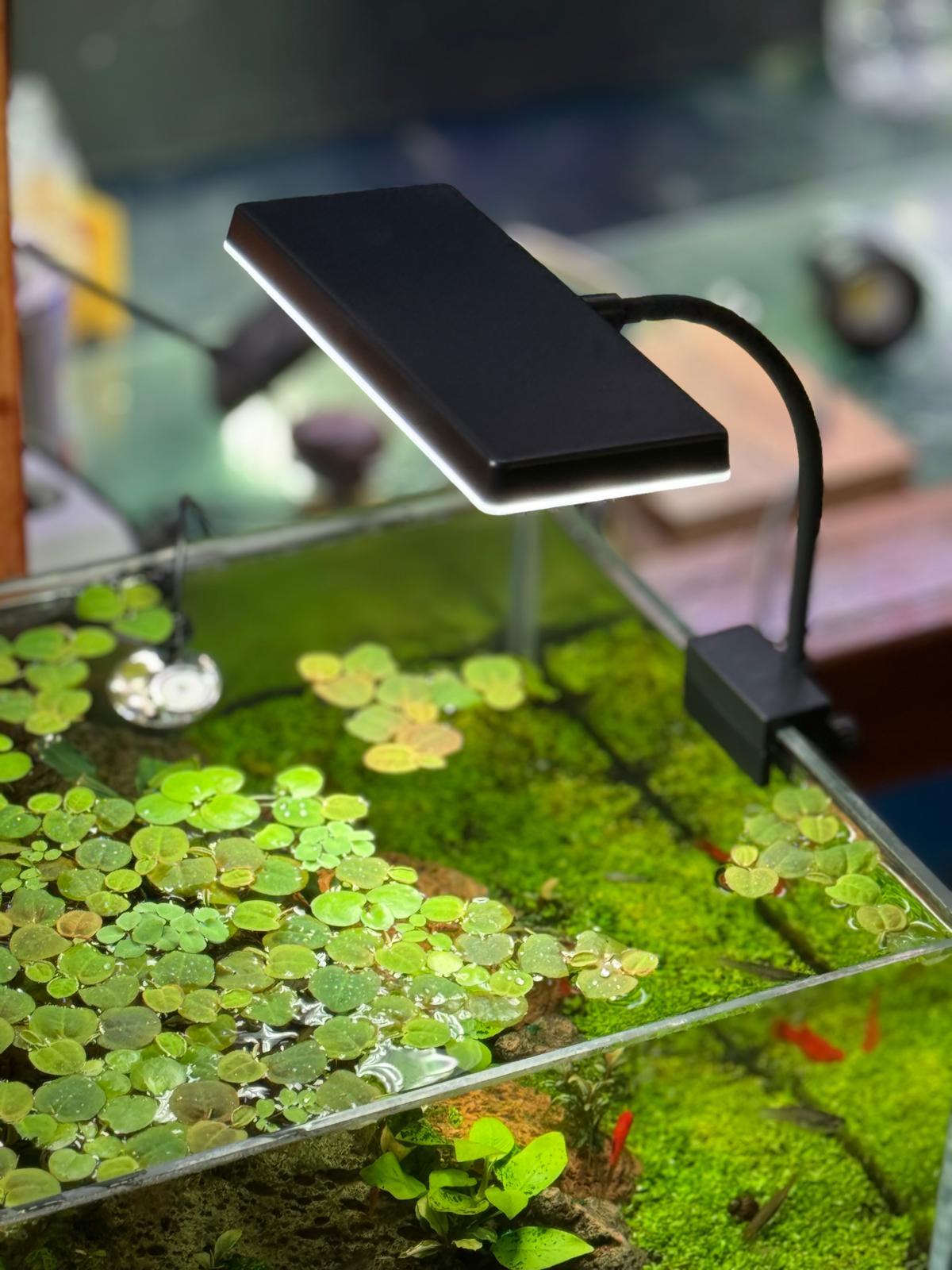 YIKEDA NANO APLİK LED 15,2 W BEYAZ KASA