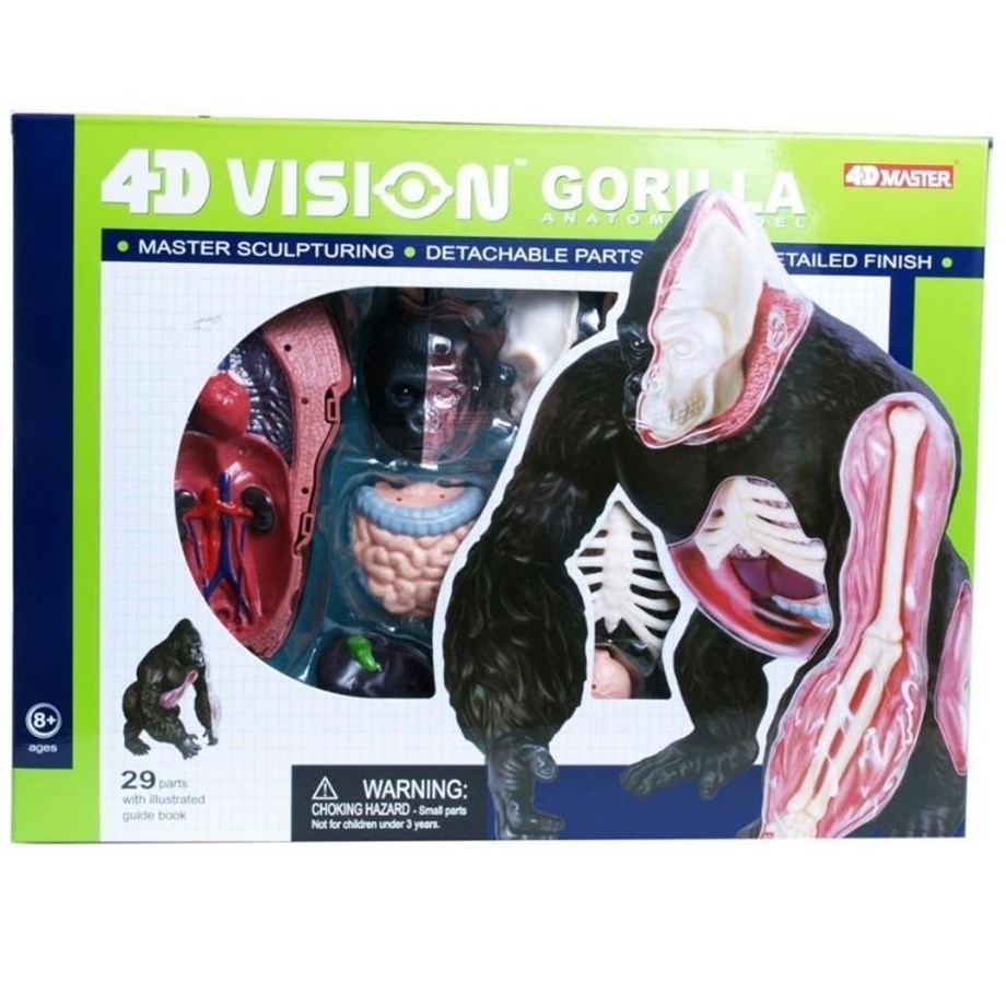 4D Master Vision Oyuncak Goril Anatomi Modeli - Türkiye'nin Eğlenceli ...