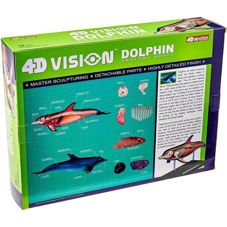 4D Master Vision Oyuncak Yunus Anatomi Modeli - Türkiye'nin Eğlenceli ...