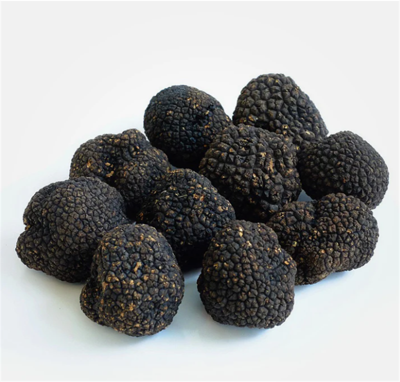 Mevsime Özel Taze Trüf Mantarı Çeşitleri