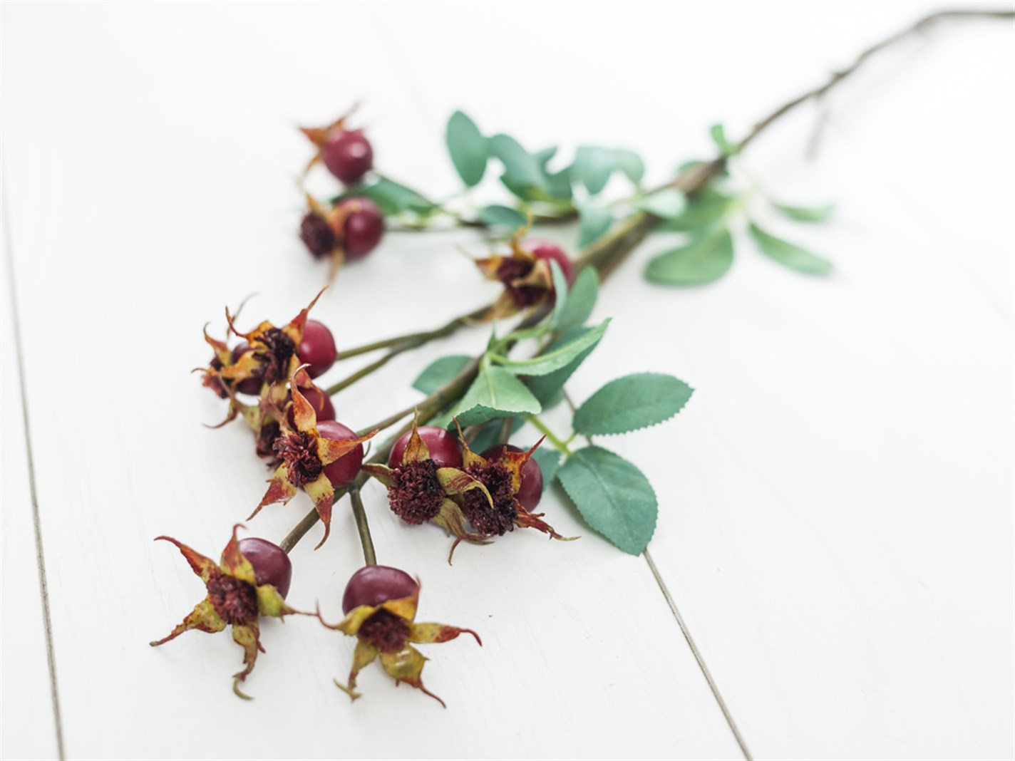 Muguri de trandafiri FLORI ARTIFICIALE Roşu | English Home Ro