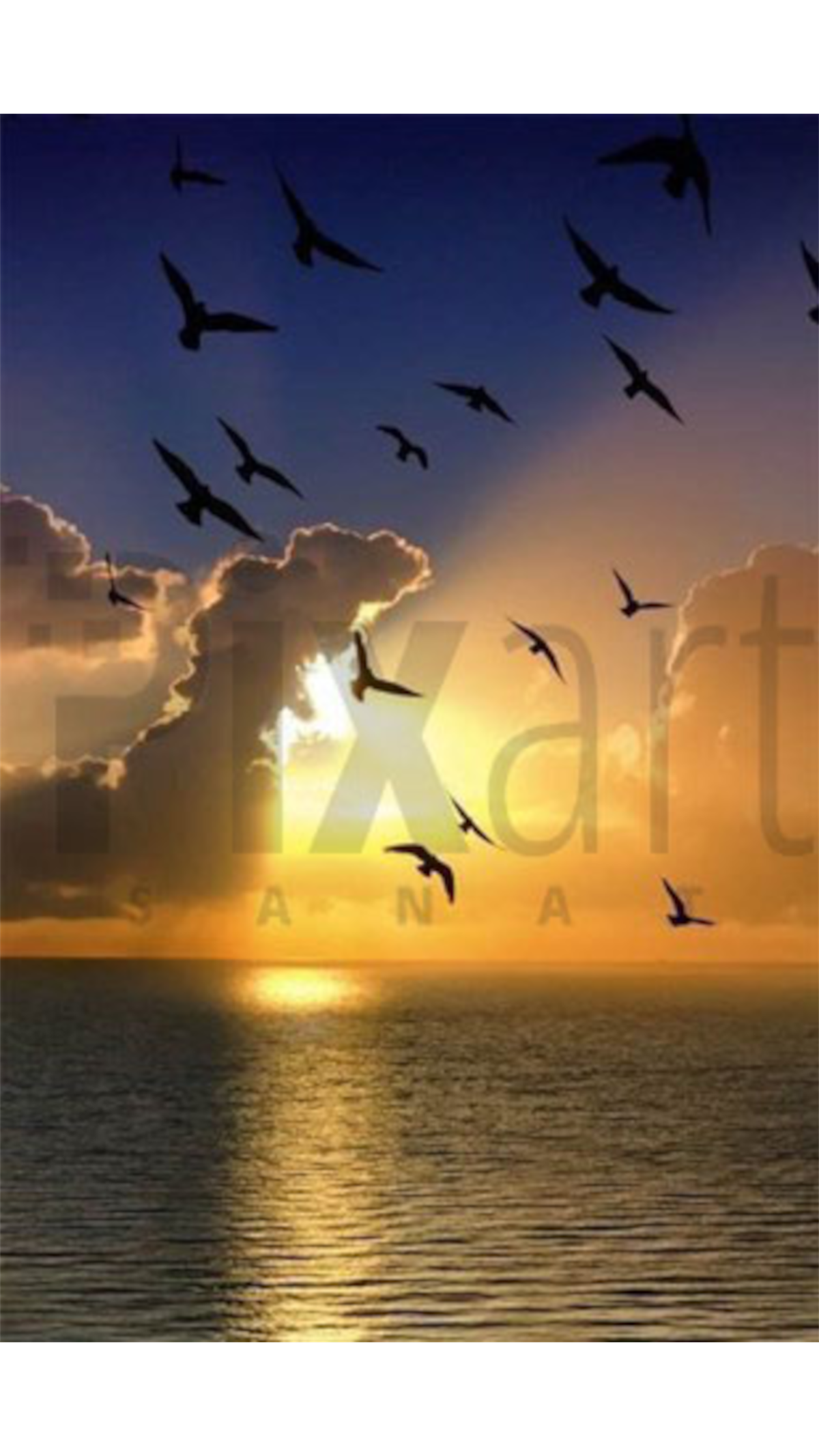 Gokyuzu-ve-Gocmen-Kuslar 40x60PixArt Sanat /PixArt Sanat/ Elmas Mozaik ...