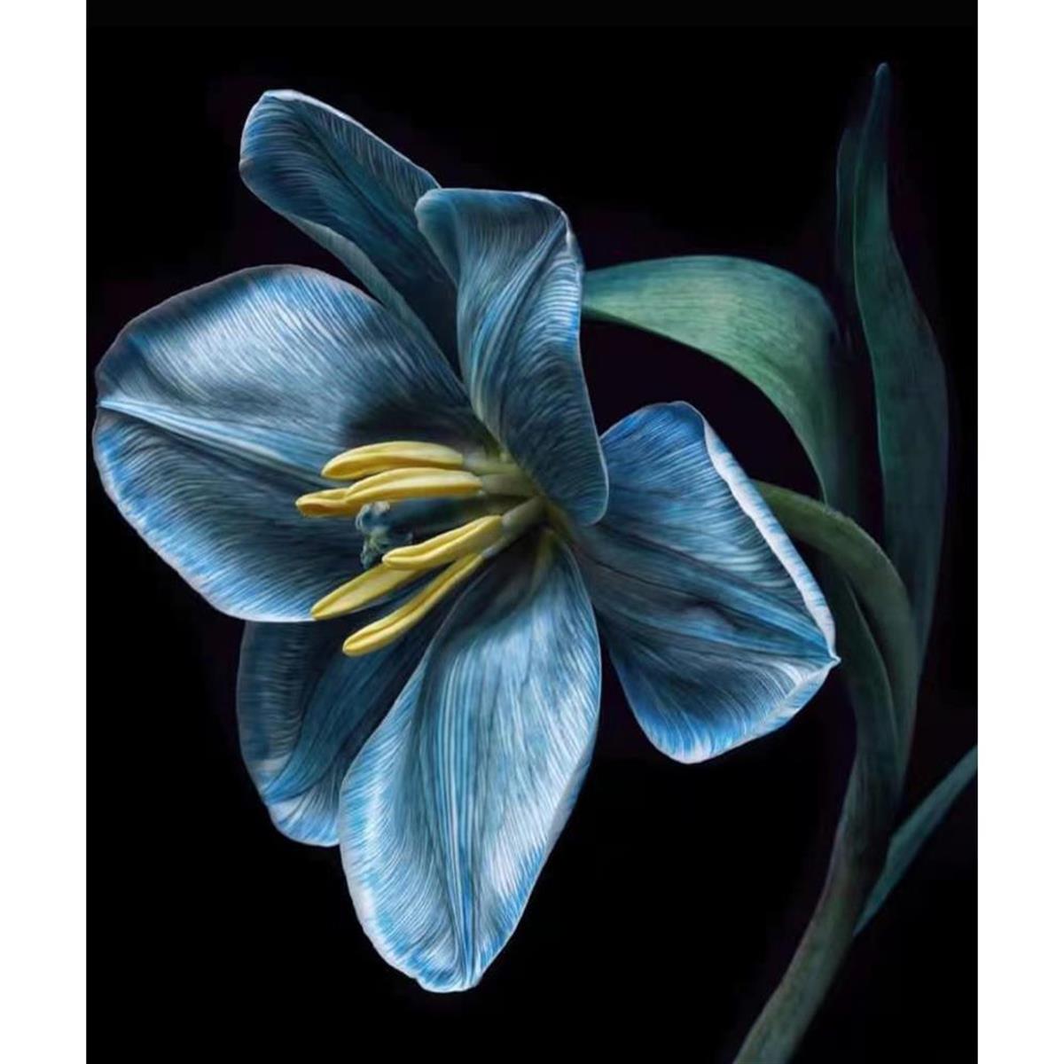 Yaşam Çiçeği 3 Sayılarla Boyama Seti - Kendin Yap Hobi