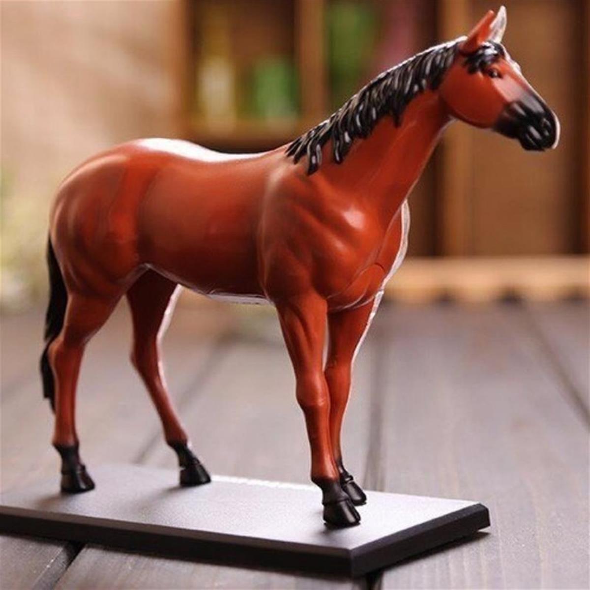 4D Master Vision Oyuncak At Anatomi Modeli - Oscar Eğitim Araçları