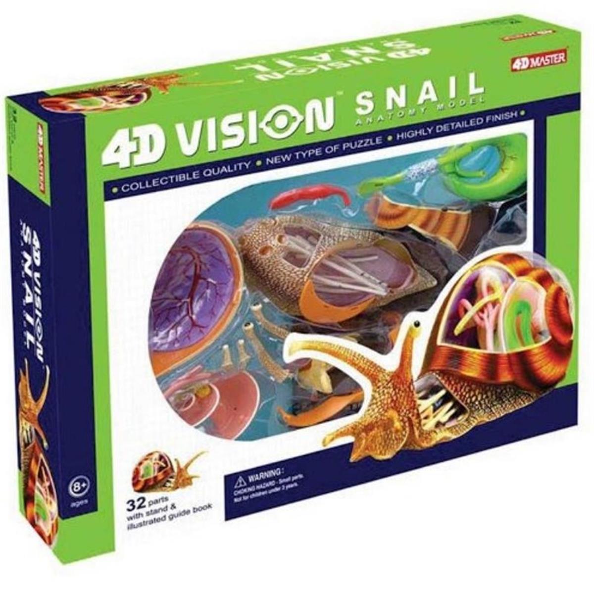 4D Master Vision Oyuncak Sümüklü Böcek Anatomi Modeli - Oscar Eğitim ...