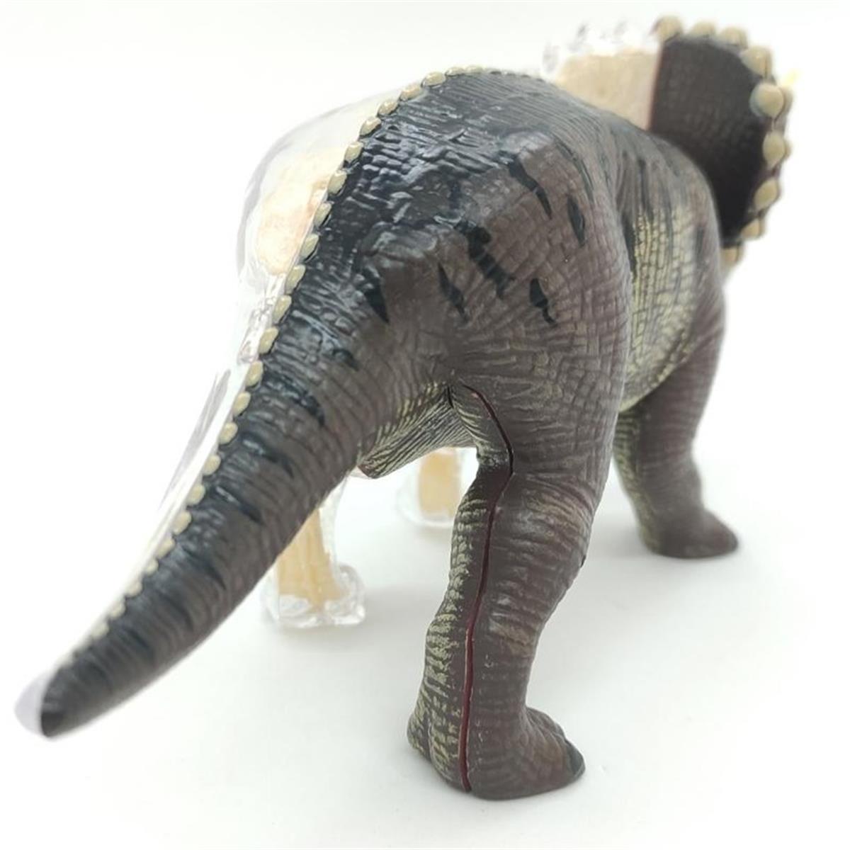 4D Master Vision Oyuncak Triceratops Anatomi Modeli - Oscar Eğitim Araçları