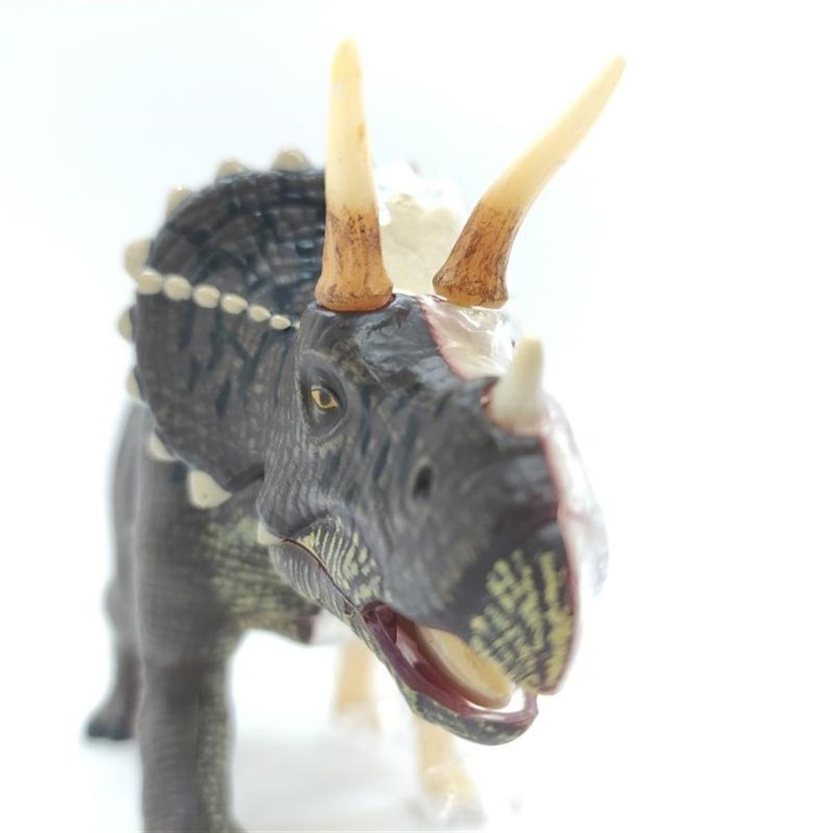 4D Master Vision Oyuncak Triceratops Anatomi Modeli - Oscar Eğitim Araçları