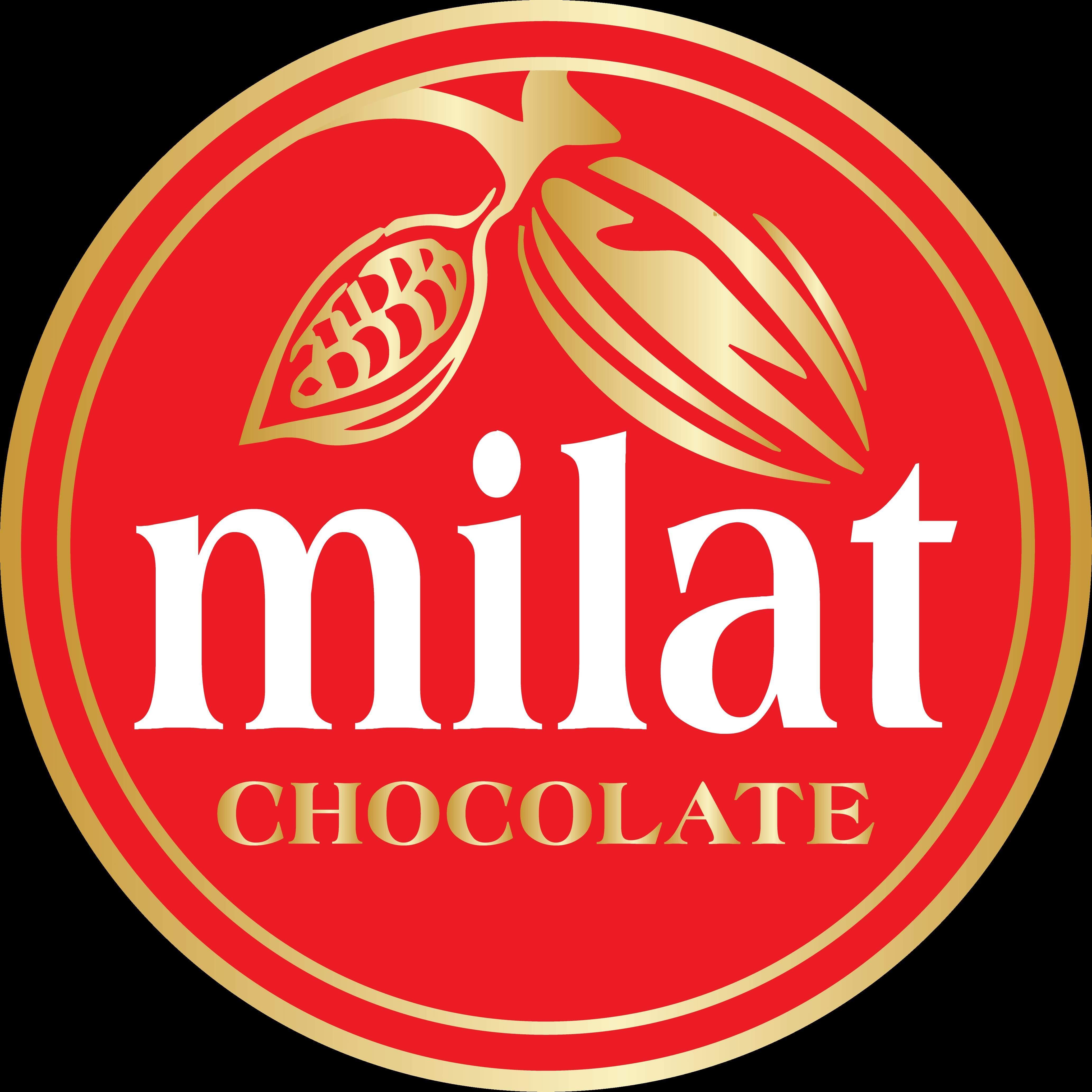 Benmari Nedir? Benmari Usulü Çikolata Nasıl Eritilir?