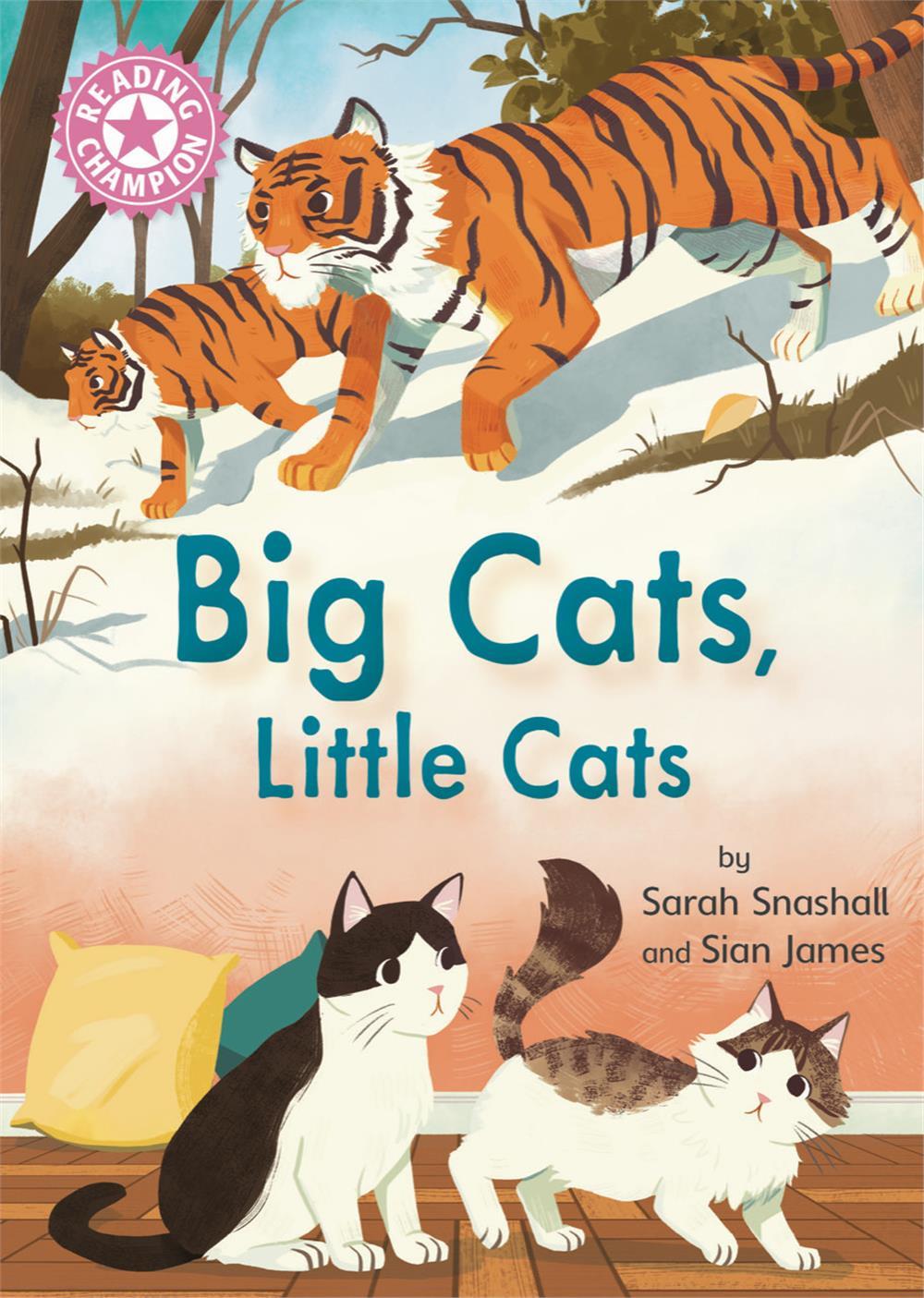 Reading Champion: Big Cats, Little Cats 9781445174921 | Fiyat & Satın Al