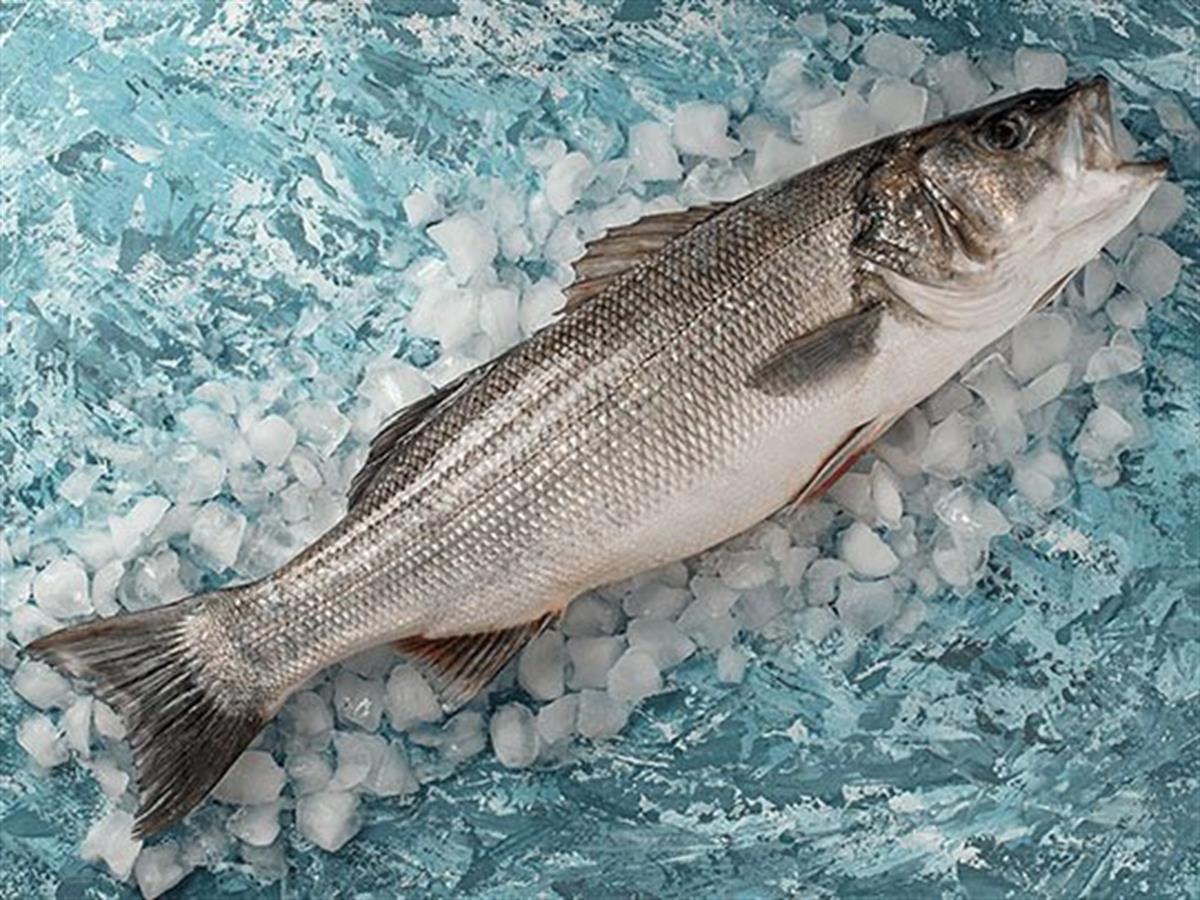 Balık Ye - Levrek ( 400-600 Gr ) | Datça Murat Çiftliği