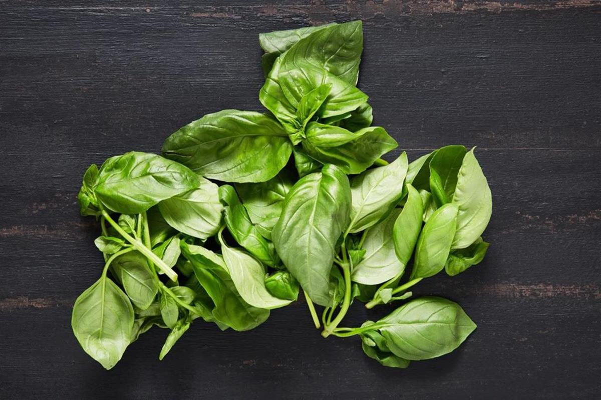 Local Greens Fesleğen 40 Gr | Datça Murat Çiftliği