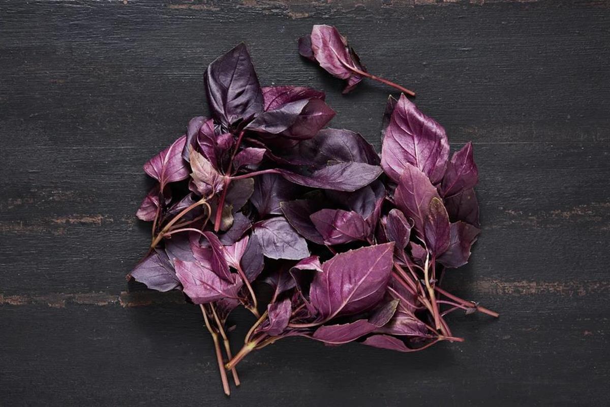 Local Greens Reyhan 40 Gr | Datça Murat Çiftliği