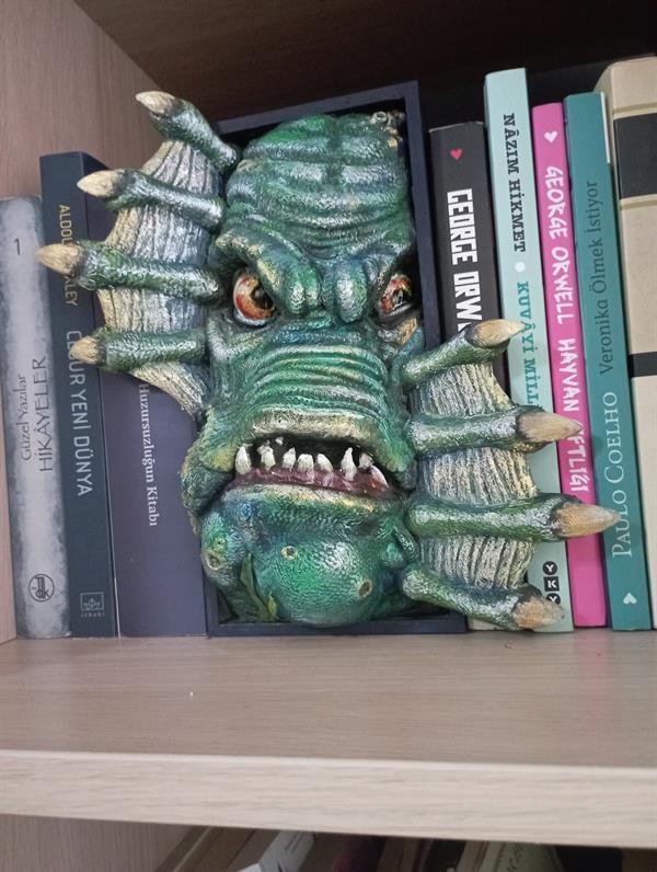 Book Nook Aqua Monster