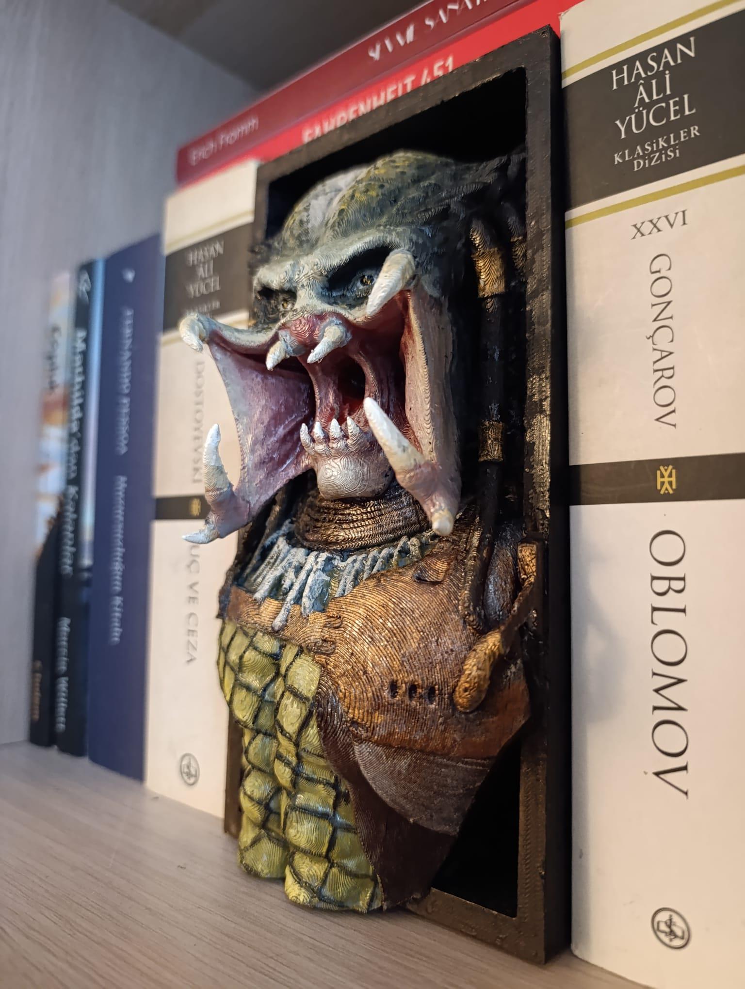 Book Nook Predator