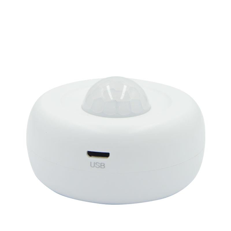 P-32-WF RXR Kablosuz Wi-Fi PIR Hareket Dedektörü P-32-WF RXR Kablosuz Wi-Fi PIR Hareket Dedektörü