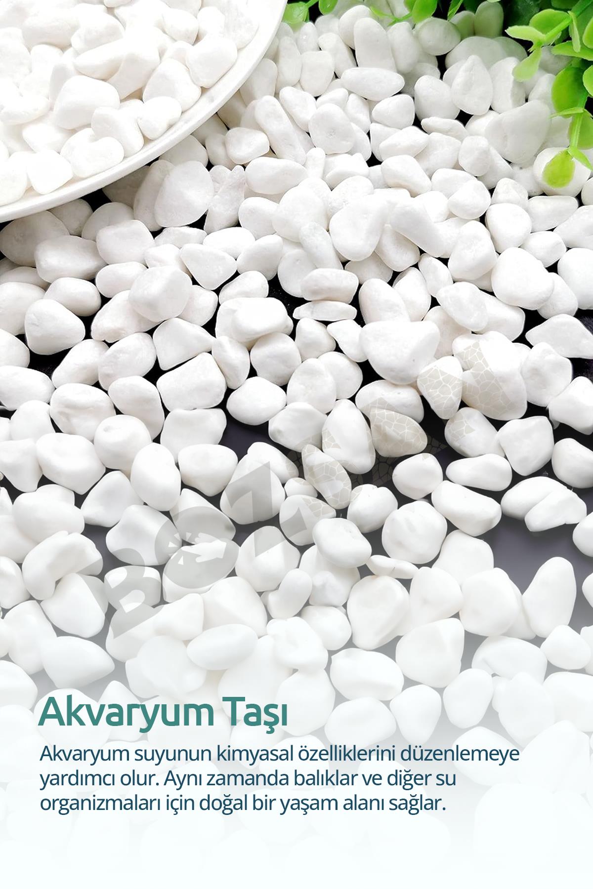 Beyaz Taş 25 Kg 1-3 Cm Beyaz Dolomit Taş Dere Taşı Çakıl Taşı Bahçe Süs ...