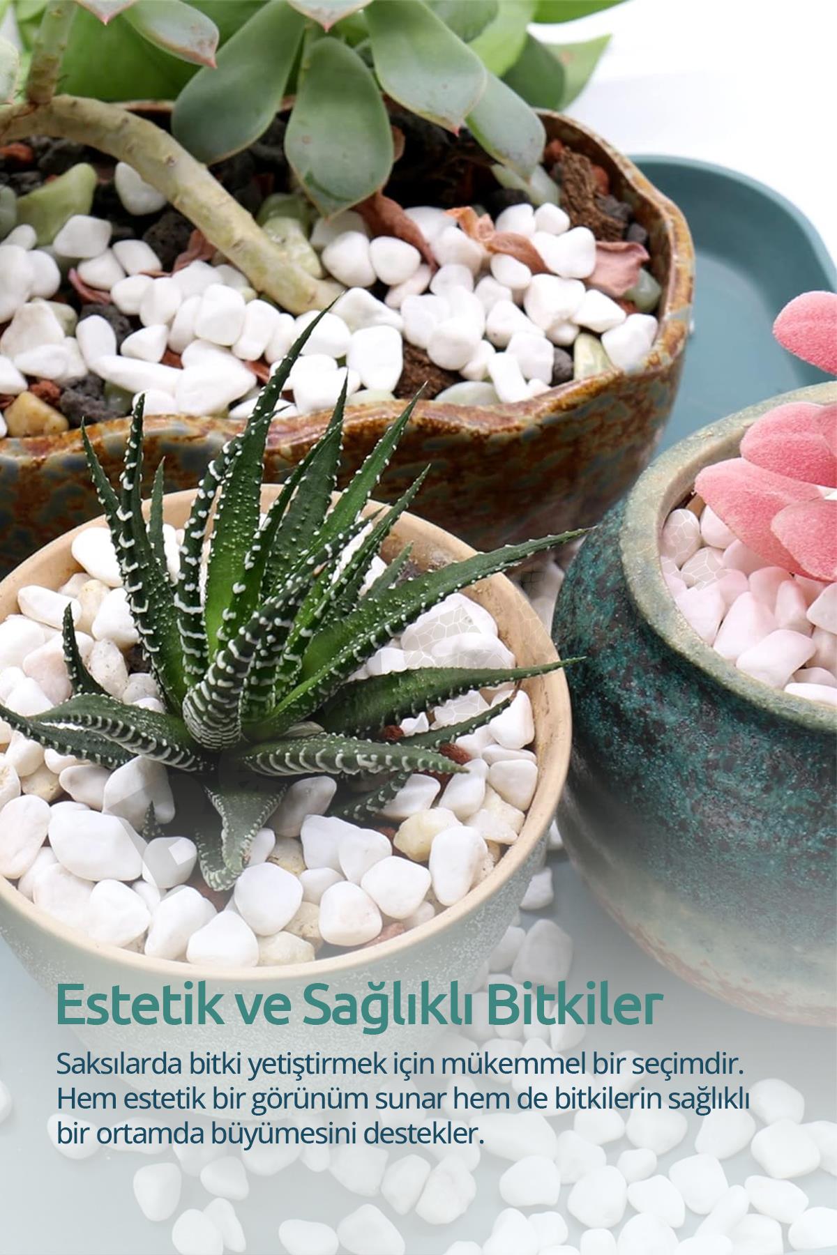 Beyaz Taş 5 Kg 1-3 Cm Beyaz Dolomit Taş Dere Taşı Çakıl Taşı Bahçe Süs ...