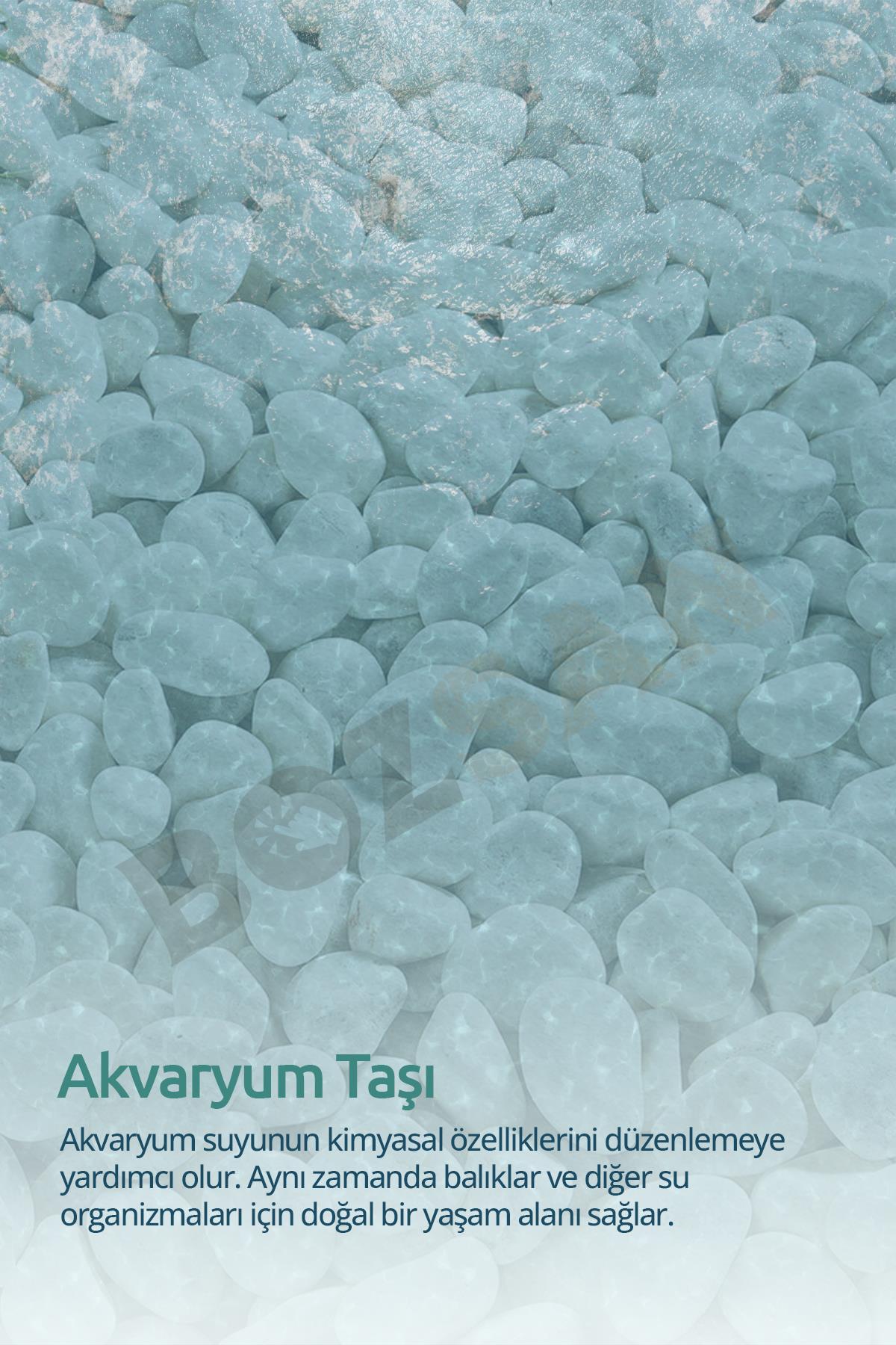 Beyaz Dolomit Taş 3 Kg 2-4 Cm Dere Çakıl Taşı Bahçe Süs Taşı Saksı ...