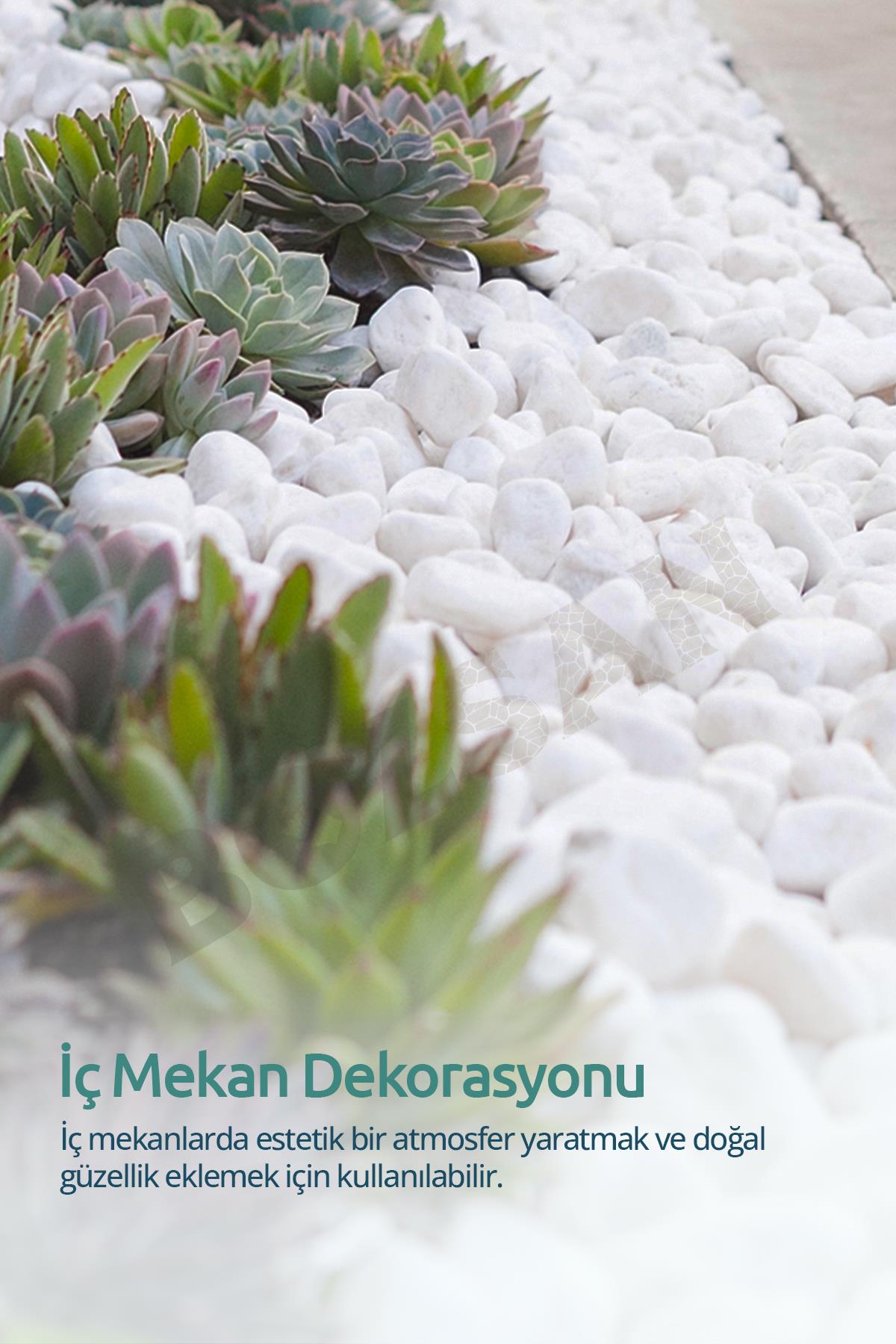 Beyaz Dolomit Taş 20 Kg 2-4 Cm Dere Çakıl Taşı Bahçe Süs Taşı Saksı ...