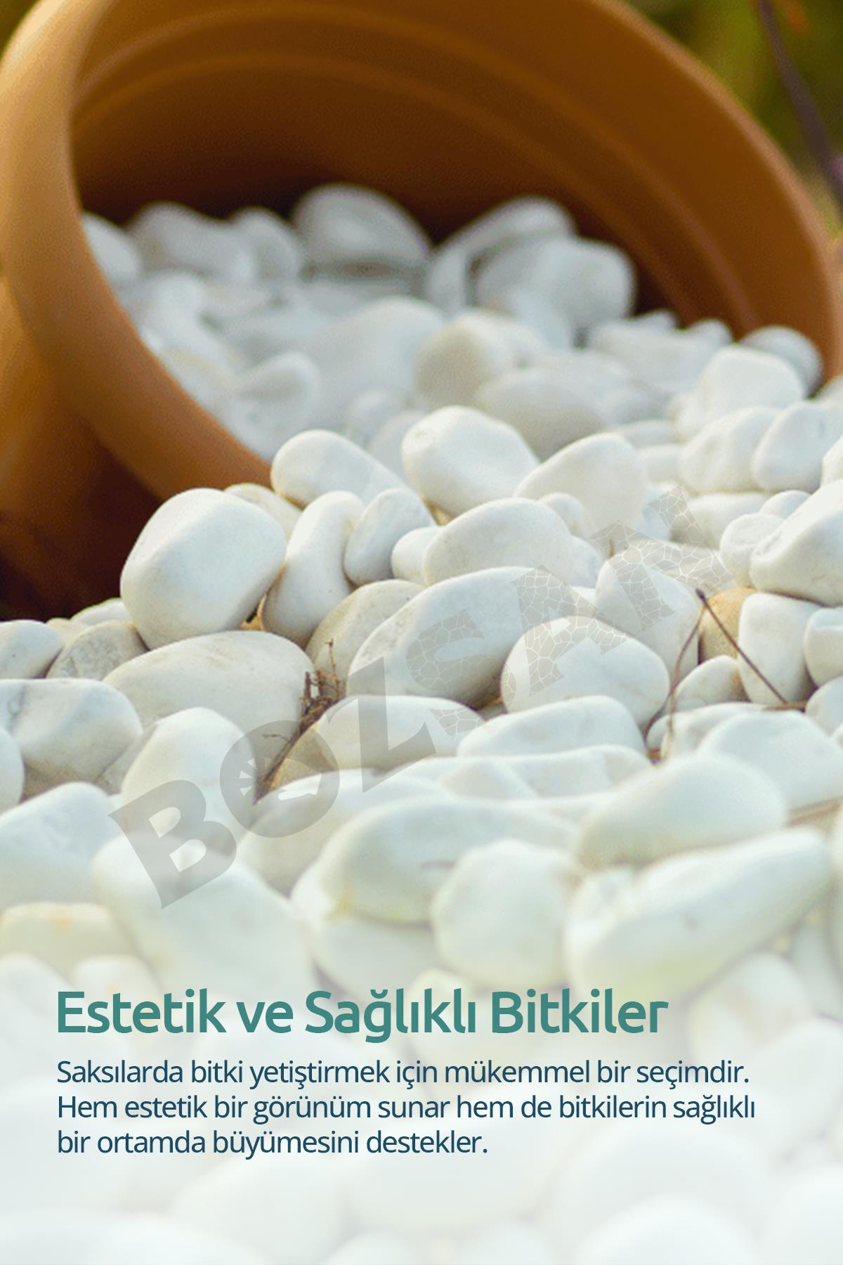Beyaz Dolomit Taş 15 Kg 2-4 Cm Dere Çakıl Taşı Bahçe Süs Taşı Saksı ...