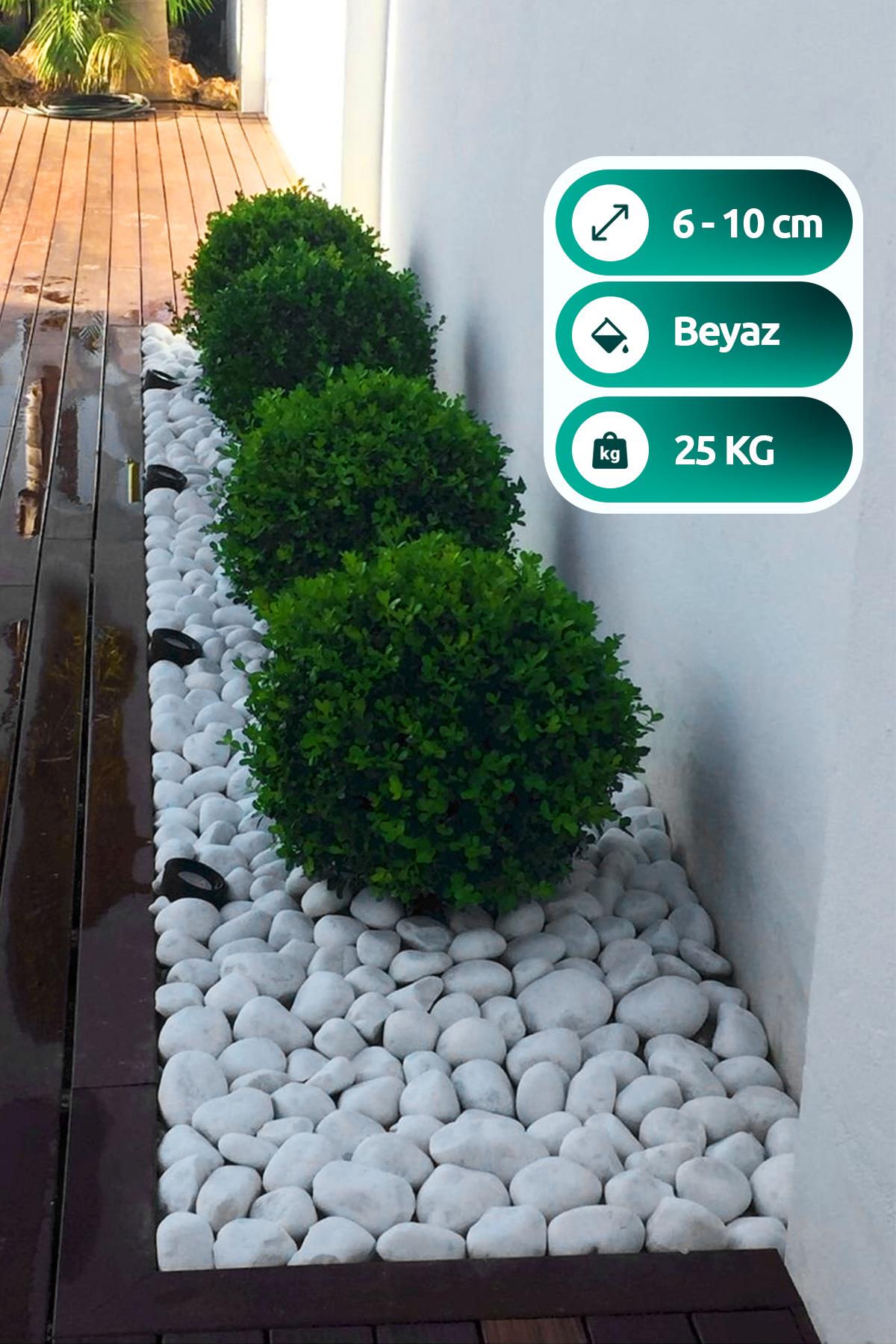 Beyaz Taş 25 Kg 6-10 Cm Beyaz Dolomit Taş Dere Taşı Çakıl Taşı Bahçe ...