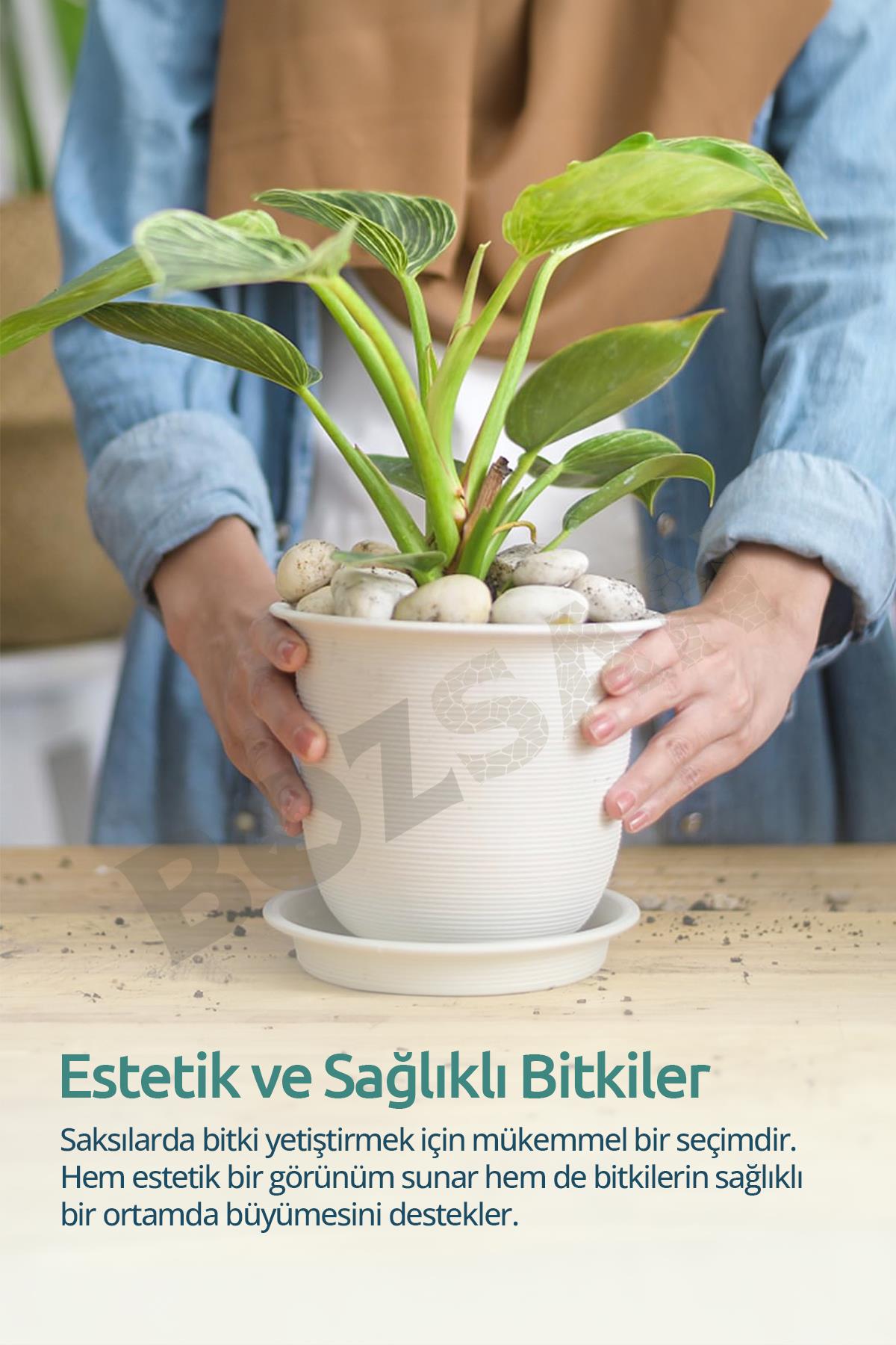 Beyaz Taş 15 Kg 6-10 Cm Beyaz Dolomit Taş Dere Taşı Çakıl Taşı Bahçe ...