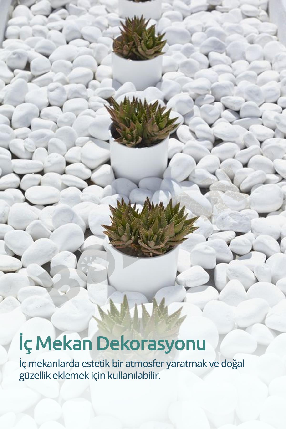 Beyaz Taş 25 Kg 6-10 Cm Beyaz Dolomit Taş Dere Taşı Çakıl Taşı Bahçe ...