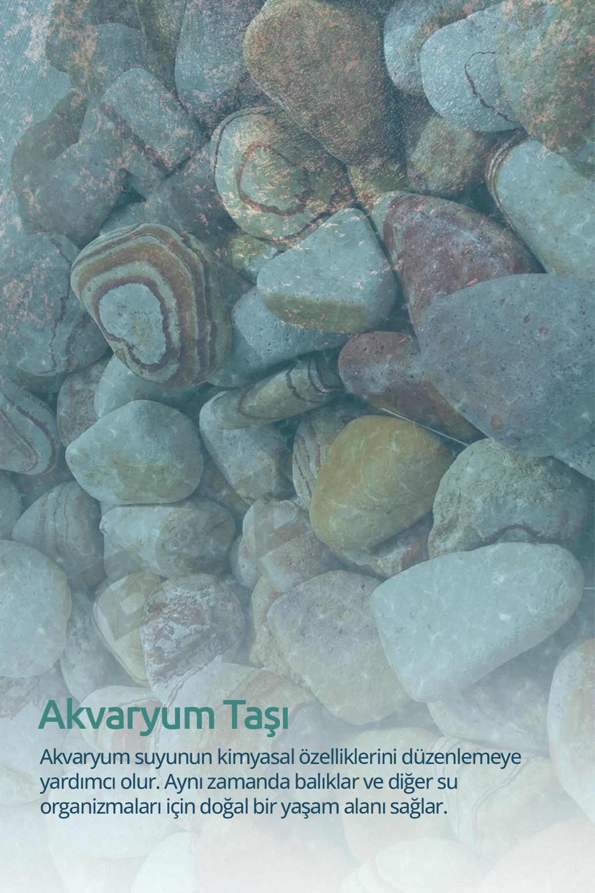 Sarı Çizgili Rainbow 2-4cm Dolomit Taşı Bahçe Süs Akvaryum Taşı Dere ...