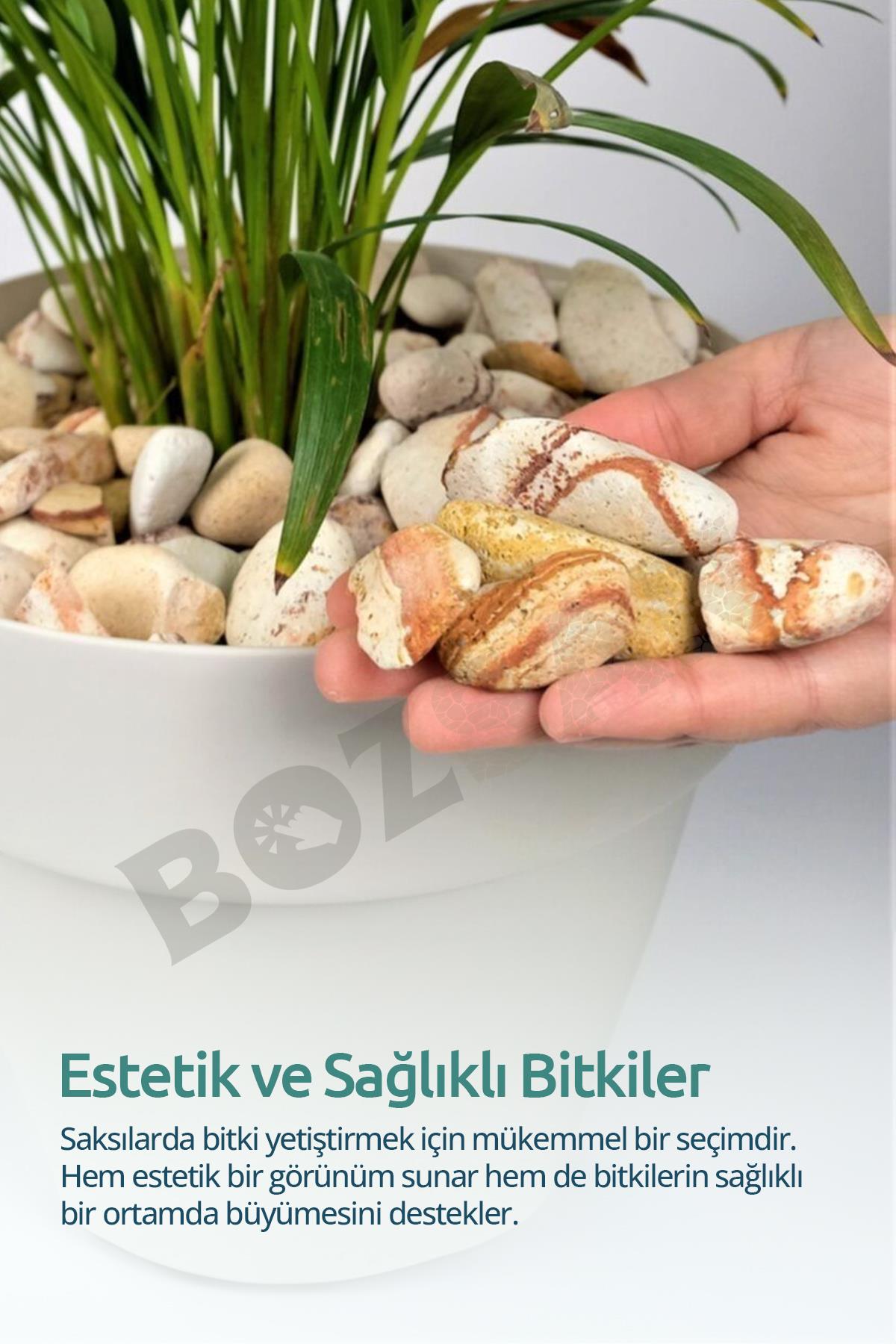 Sarı Çizgili Rainbow 2-4cm Dolomit Taşı Bahçe Süs Akvaryum Taşı Dere ...