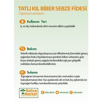 Tatlı Kıl Biber Sebze Fidesi Yeşil | Musluk Hortum Birleştirme Ek ...