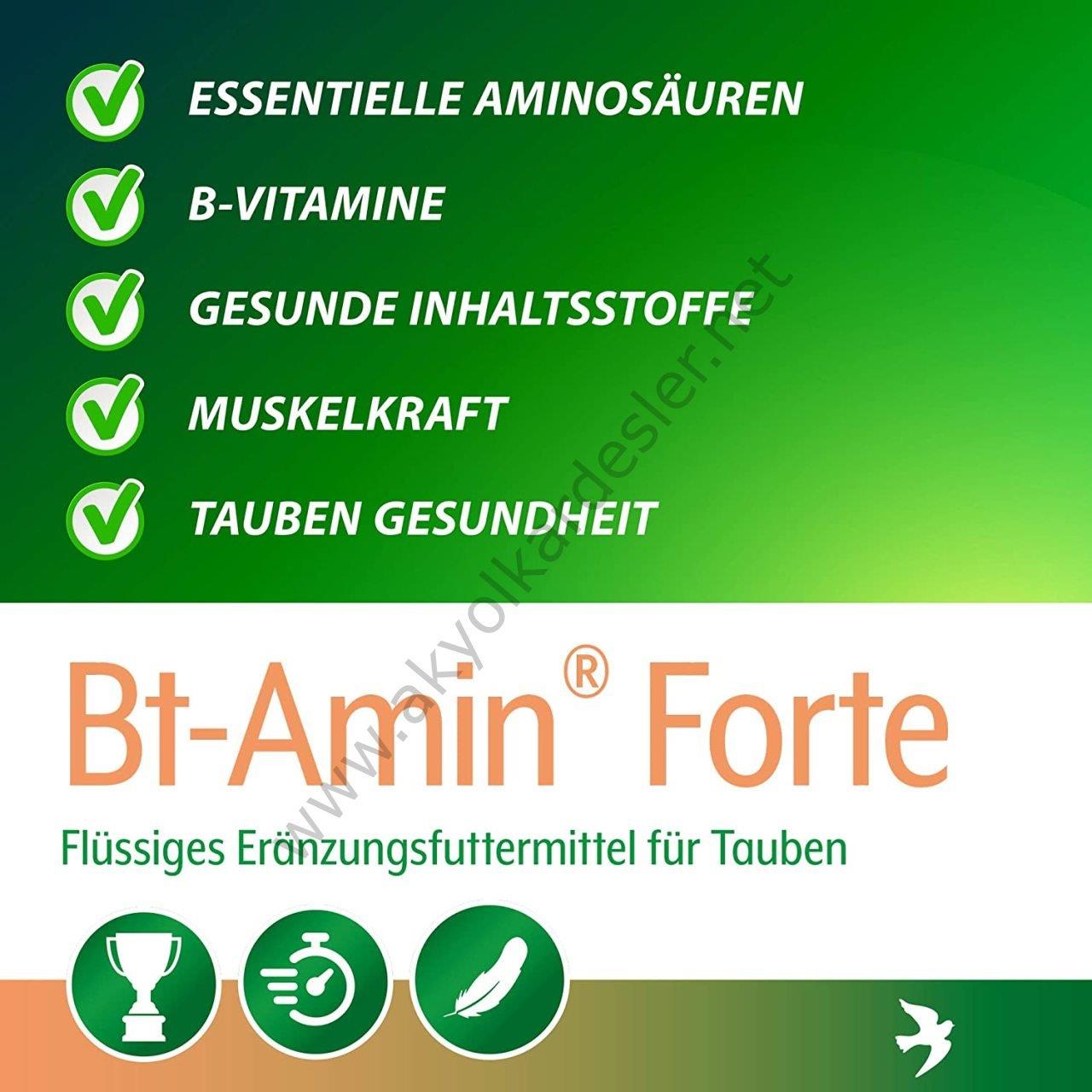 Röhnfried Bt-Amin Forte Amino Asit B Vitamini ve Elektrolit Karışımı 200ml