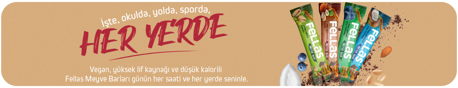 Fellas Meyve Bar & Kuruyemişli Meyveli Bar Fiyatları | Fellas