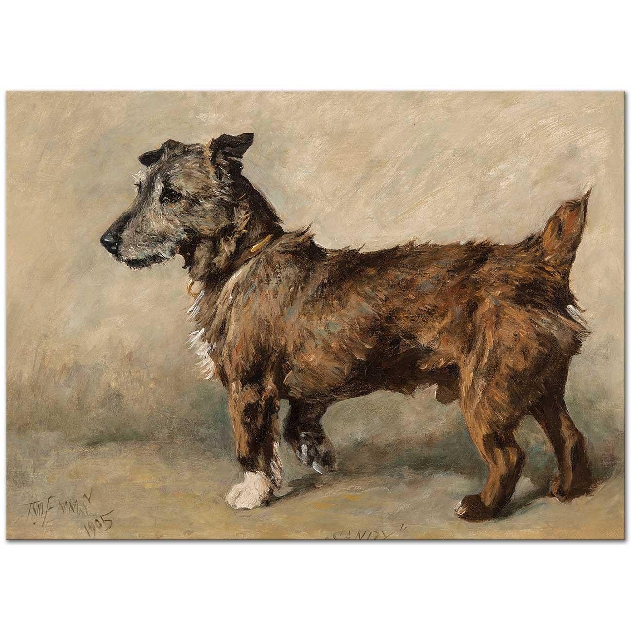 Sandy by John Emms as an Art Print | CANVASTAR