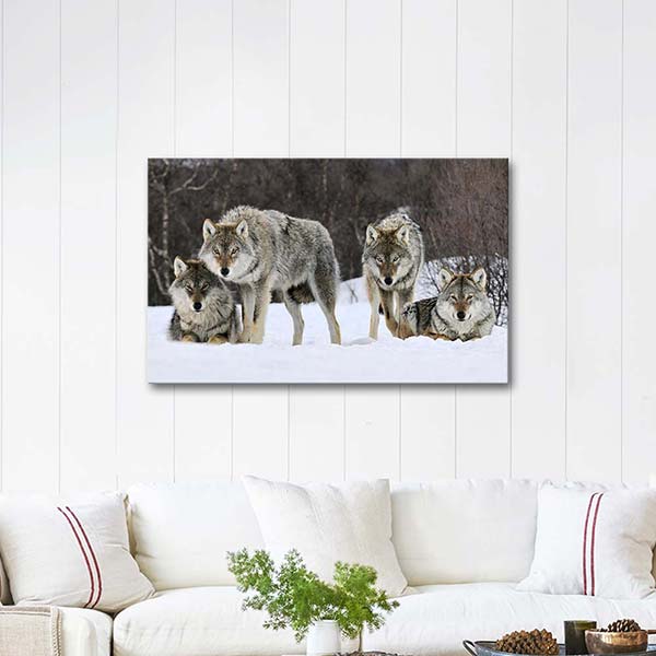 The Kings of Winter Wolfs Art Print | CANVASTAR The Kings of Winter Wolfs Art Print | CANVASTAR