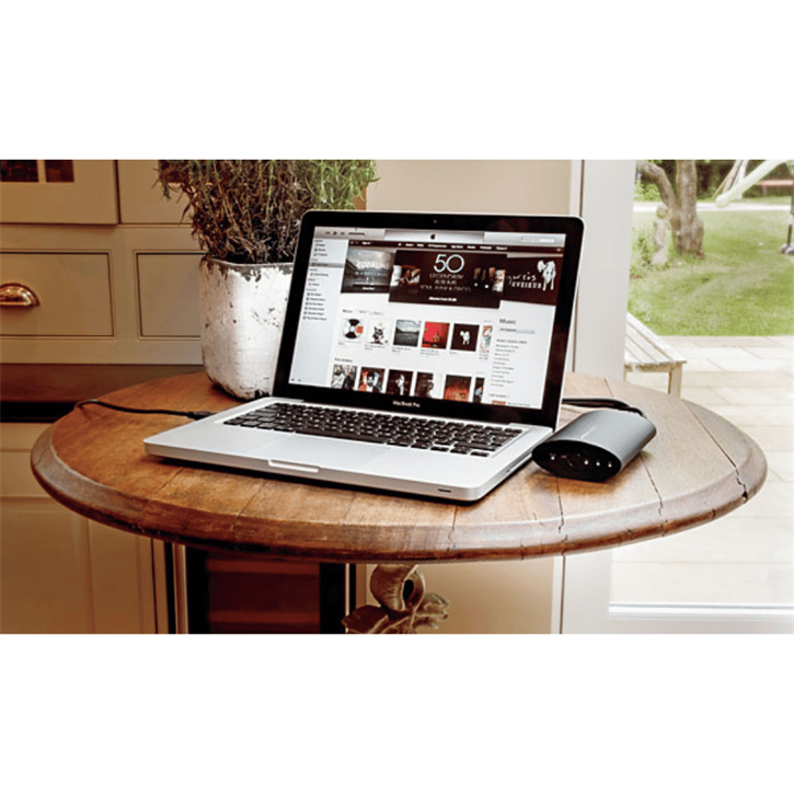 Meridian Director DAC