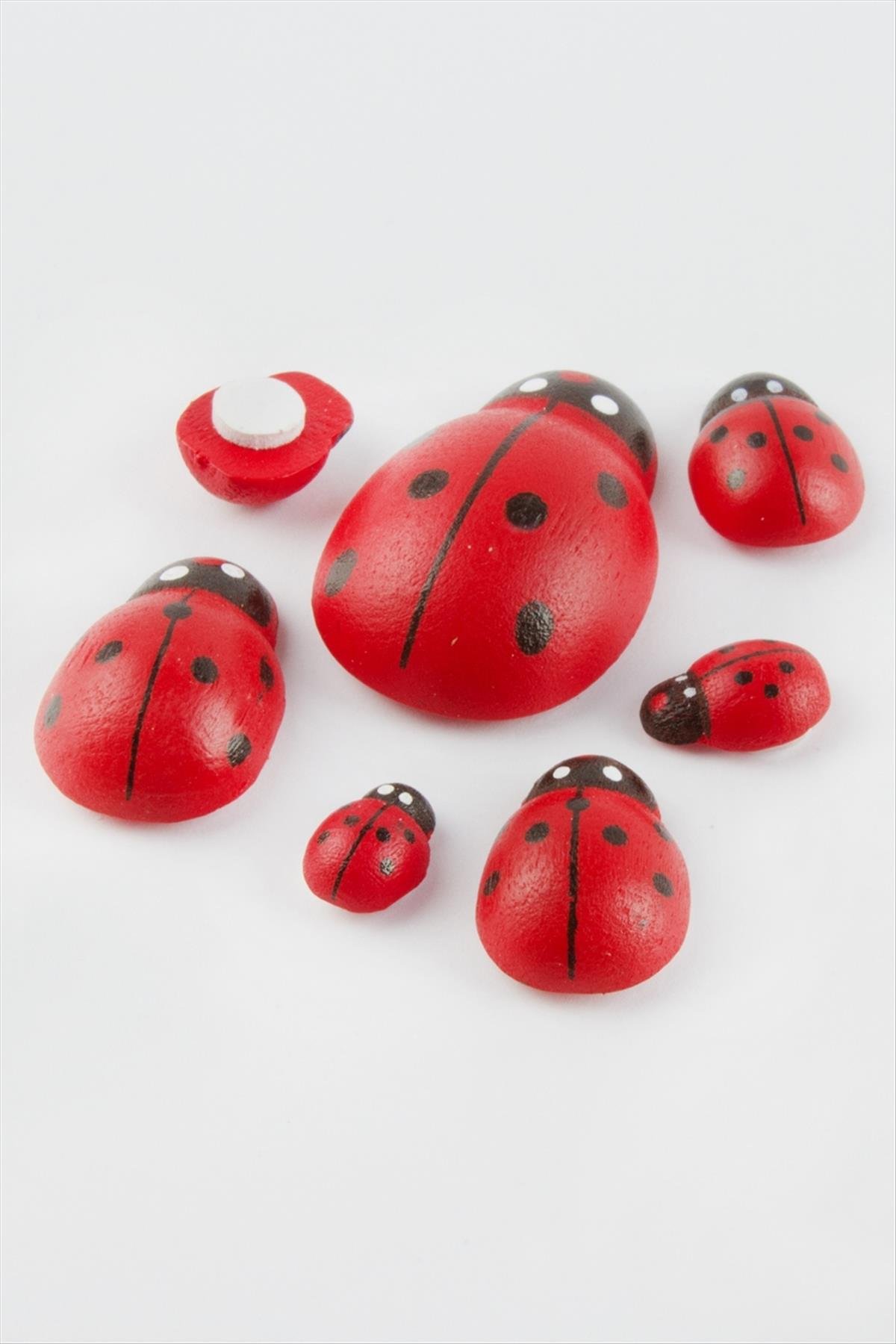 Uğur Böceği Set 6 Adet