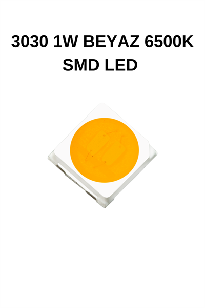 3030 SMD LED