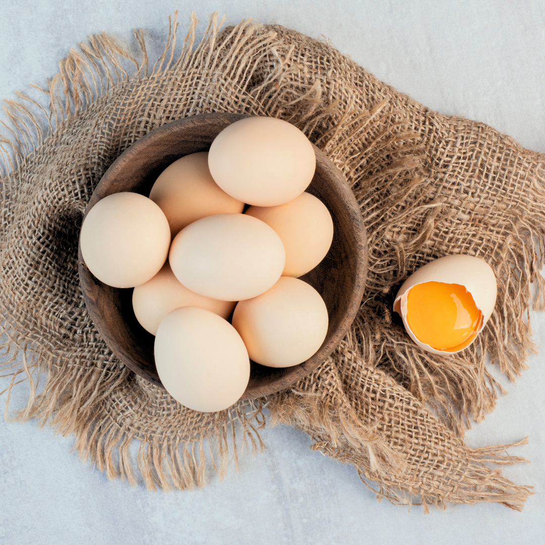 Gezen Tavuk Yumurtası