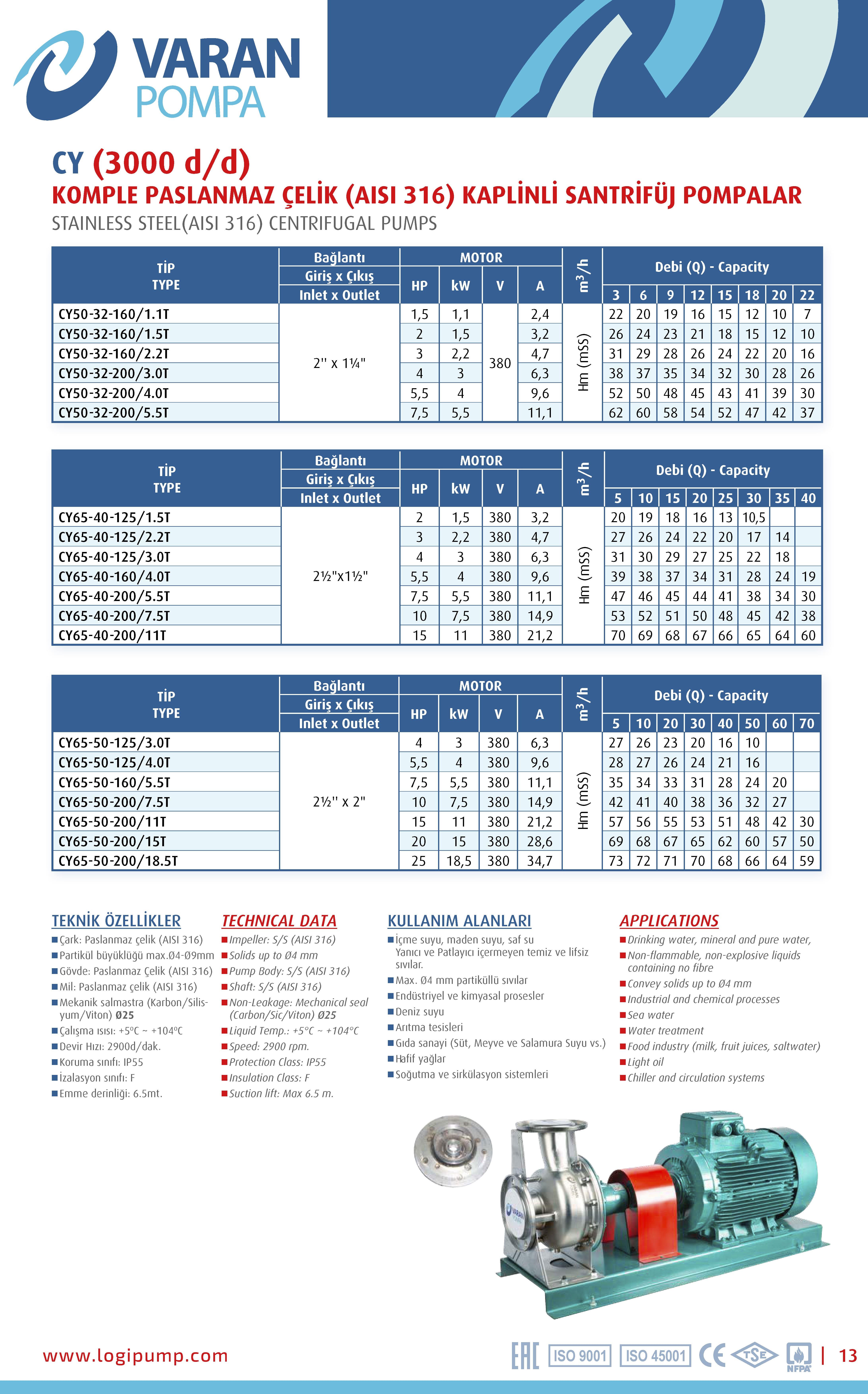 Varan CY 50-32-160/1.1T Paslanmaz Santrifüj Pompa 1.5 HP / 1.1 kW