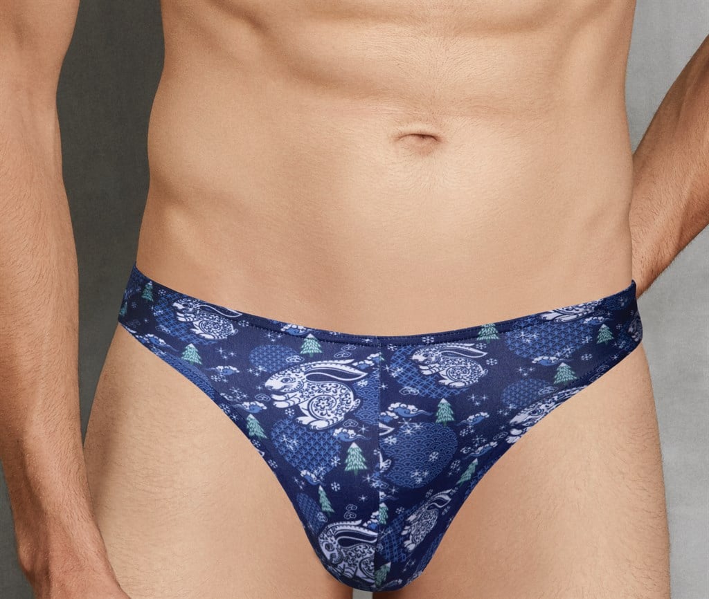 DOREANSE Erkek Mavi Yılbaşı Tema Tavşan Baskılı String 1202 | galiyet.com