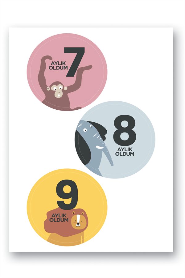 Lecolor Bebek Sticker Seti