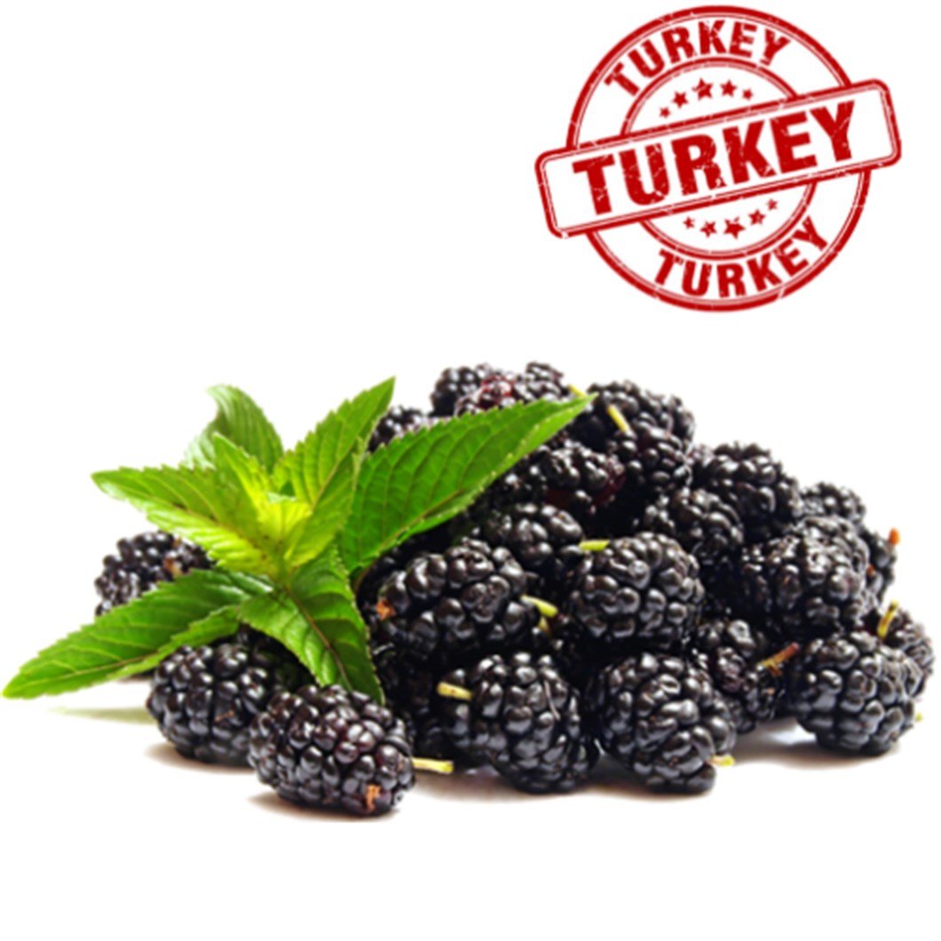 Black Mulberry