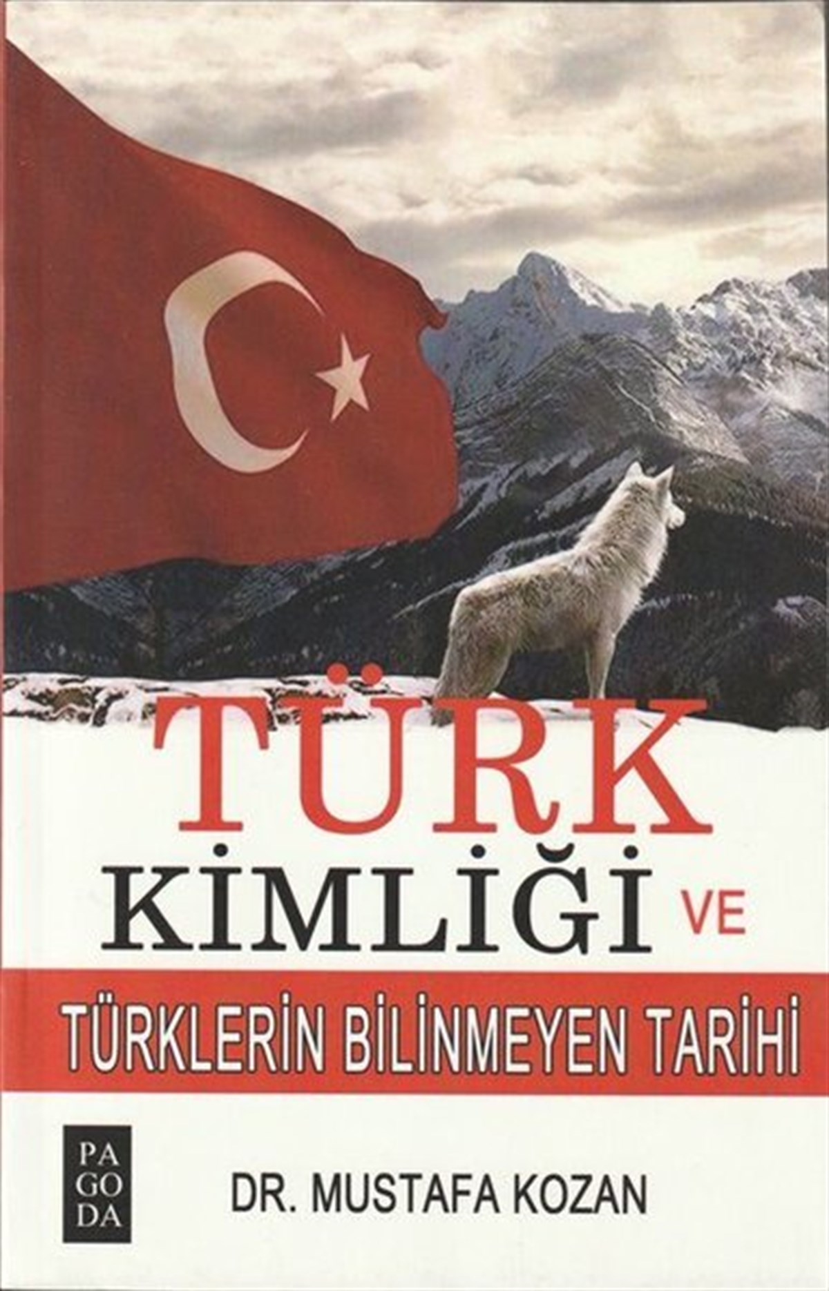 Türk Kimliği ve Türklerin Bilinmeyen Tarihi
