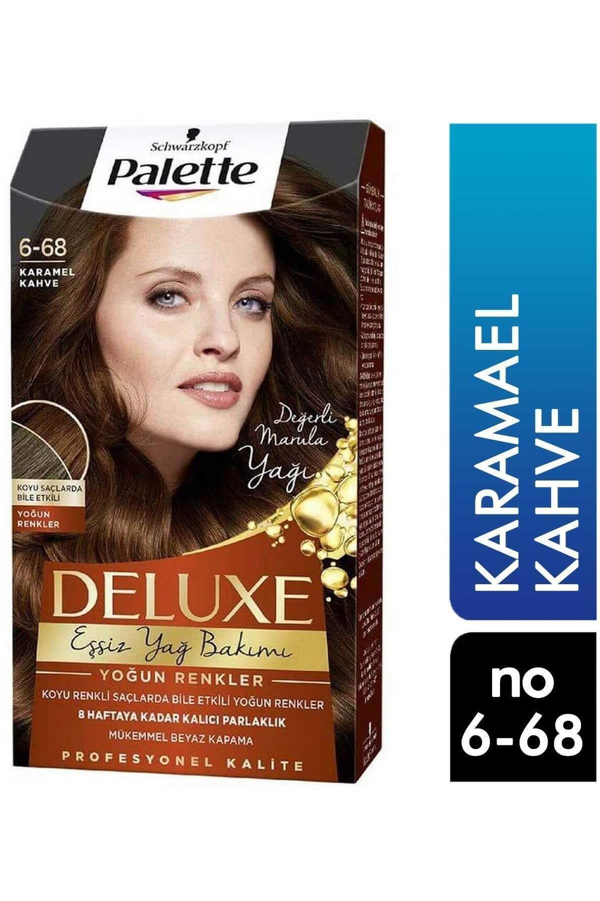 PALETTE DELUXE SAÇ BOYASI 6-68