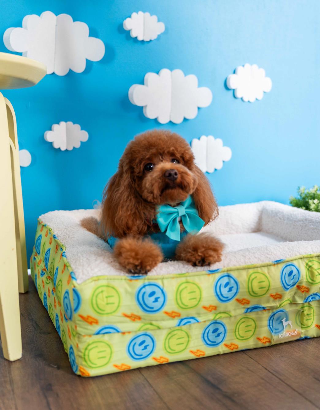 smiley dog bed
