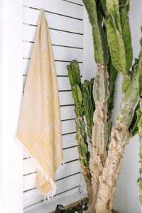 Less is More | Primitive