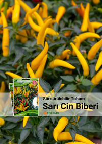 Sarı Cin Biber Tohumu 5 gr